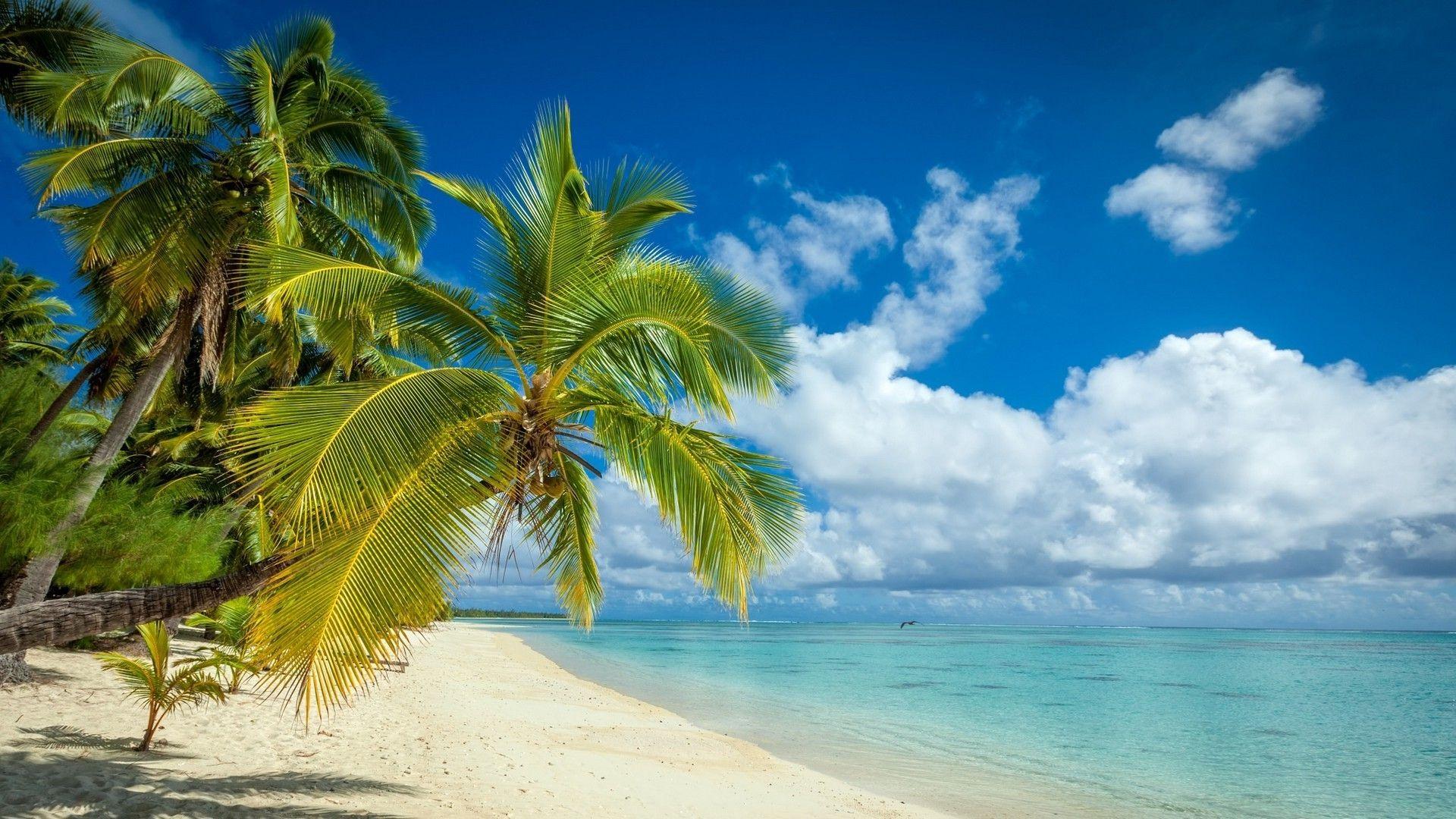 Tropical Island Paradise Wallpapers - Top Free Tropical Island Paradise ...