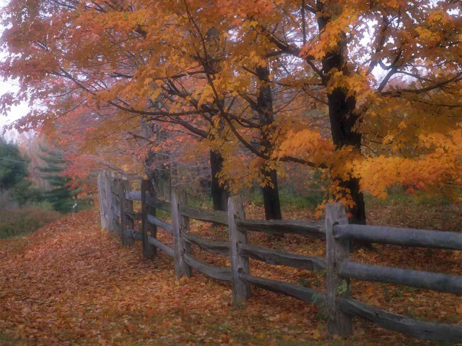 Country Fall Wallpapers - Top Free Country Fall Backgrounds ...