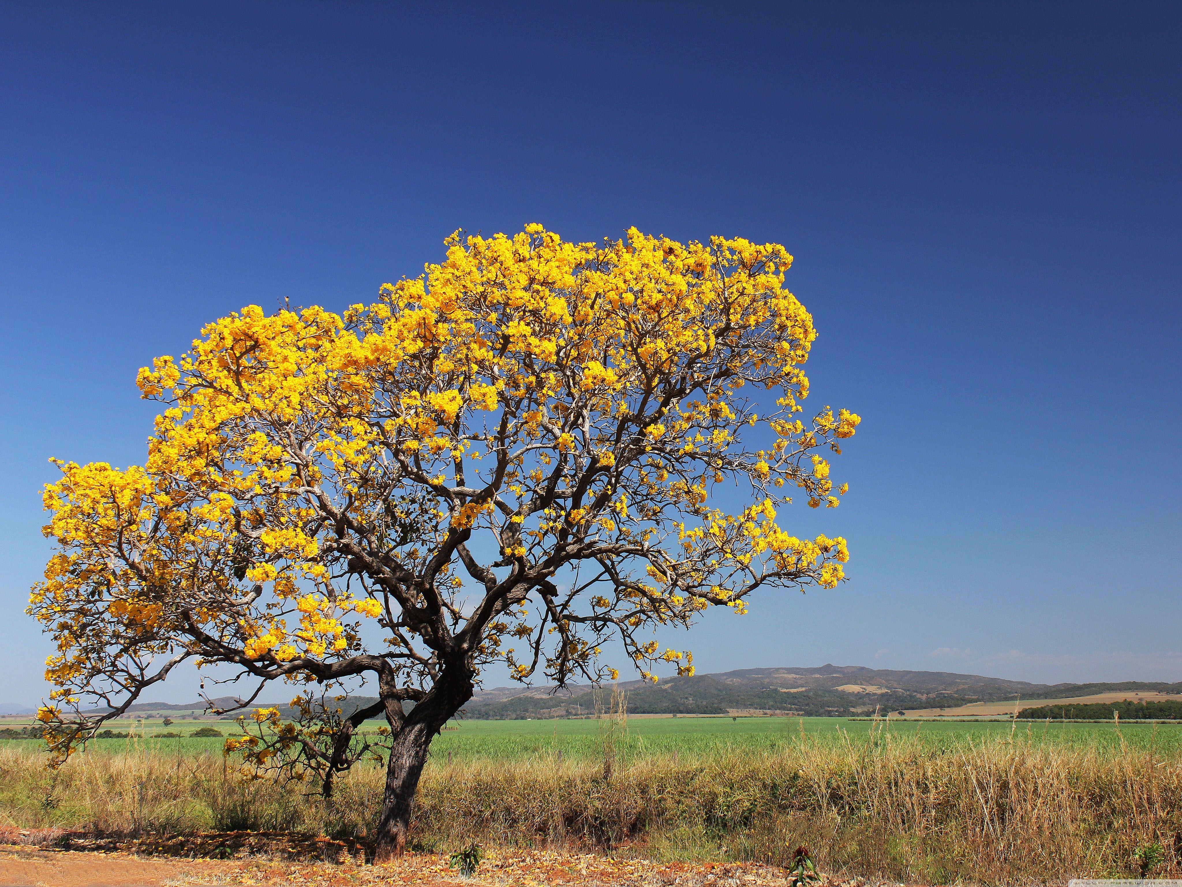 Israel Landscape Wallpapers - Top Free Israel Landscape Backgrounds ...