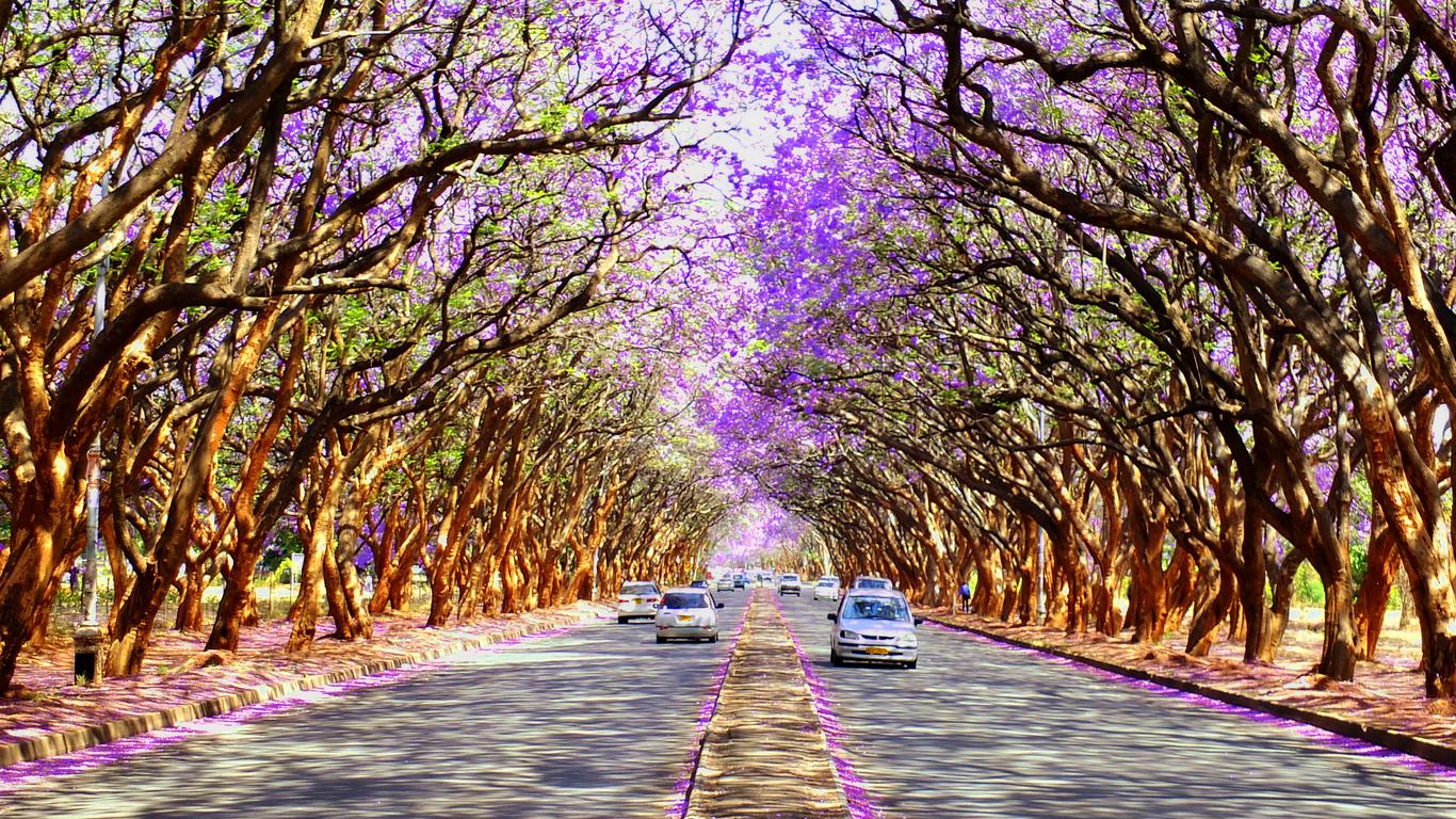 Harare Wallpapers - Top Free Harare Backgrounds - WallpaperAccess