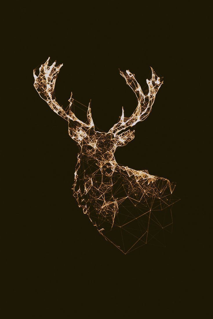 Golden Deer Wallpapers - Top Free Golden Deer Backgrounds - WallpaperAccess