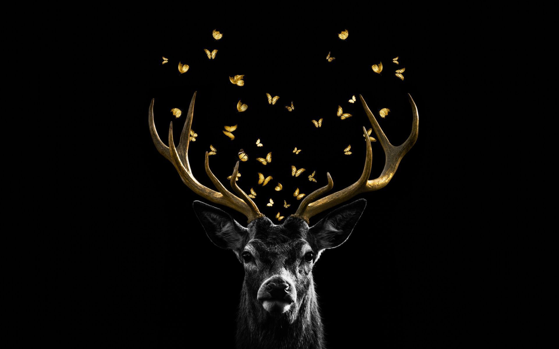 Golden Deer Wallpapers - Top Free Golden Deer Backgrounds - WallpaperAccess