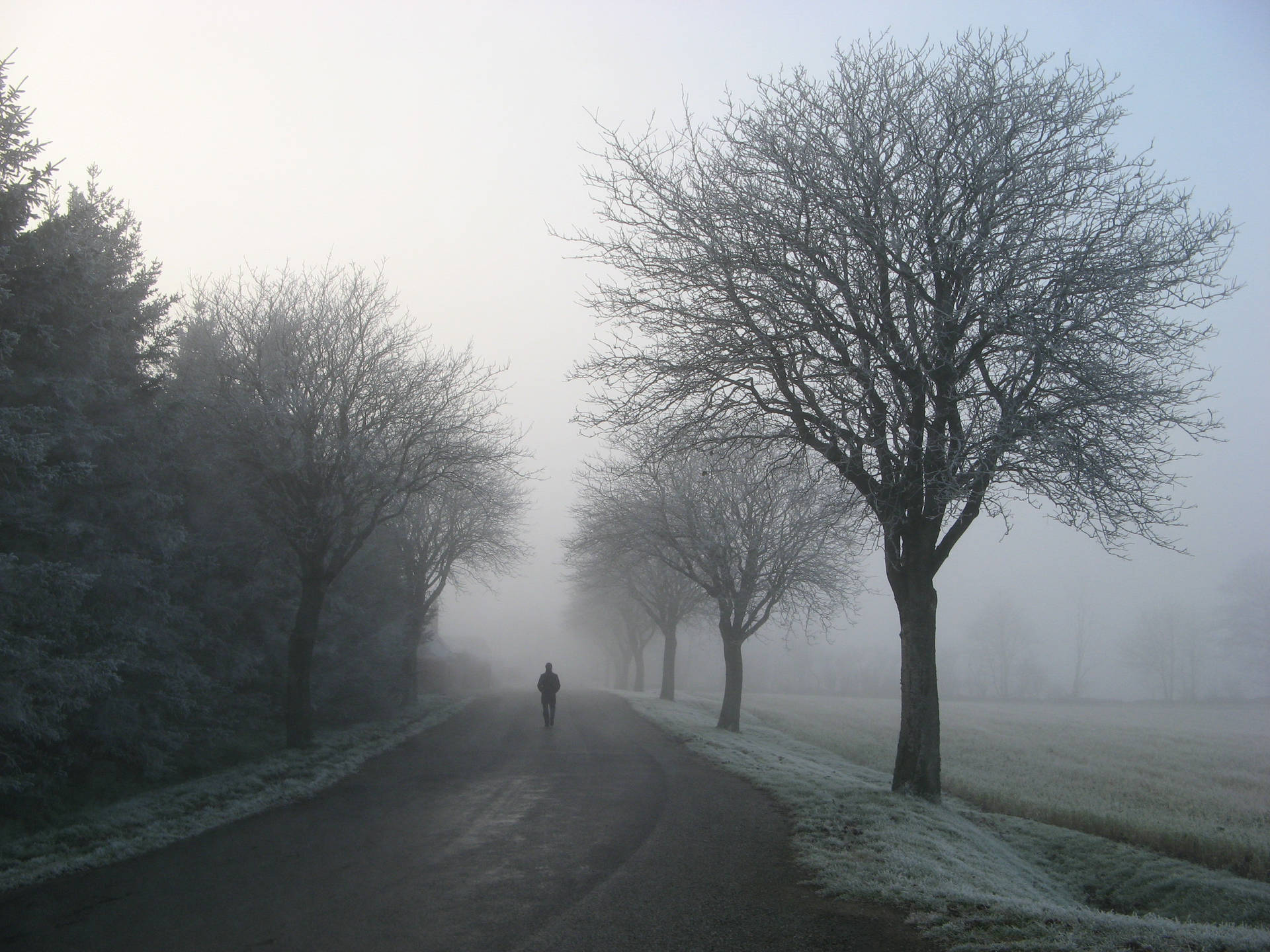 Alone Road Wallpapers - Top Free Alone Road Backgrounds - WallpaperAccess