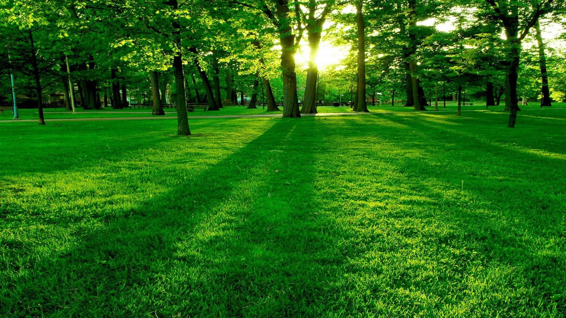 Green Future Wallpapers - Top Free Green Future Backgrounds ...