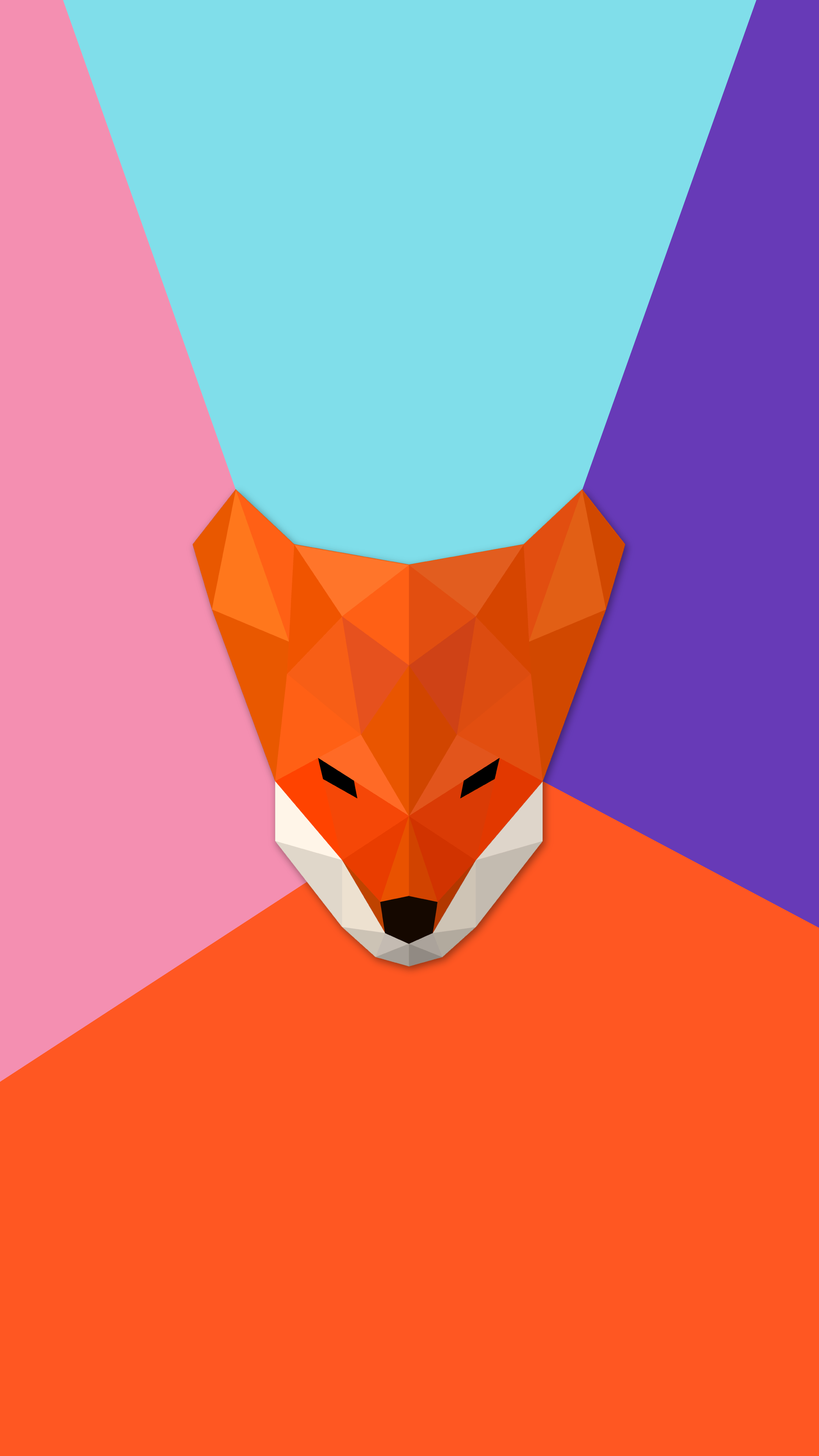 Cartoon Fox Wallpapers - Top Free Cartoon Fox Backgrounds - WallpaperAccess