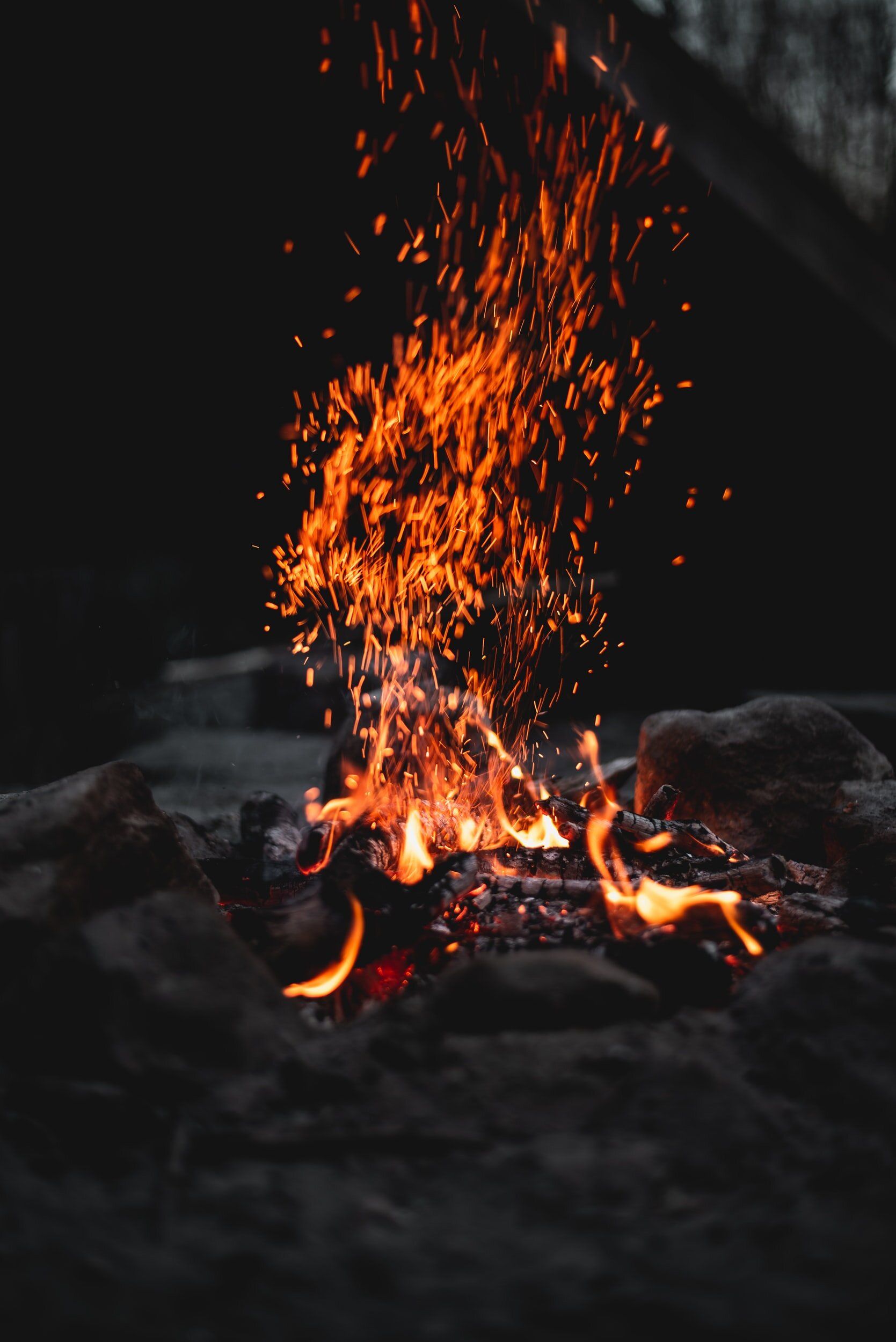 Burning Bush Wallpapers - Top Free Burning Bush Backgrounds ...