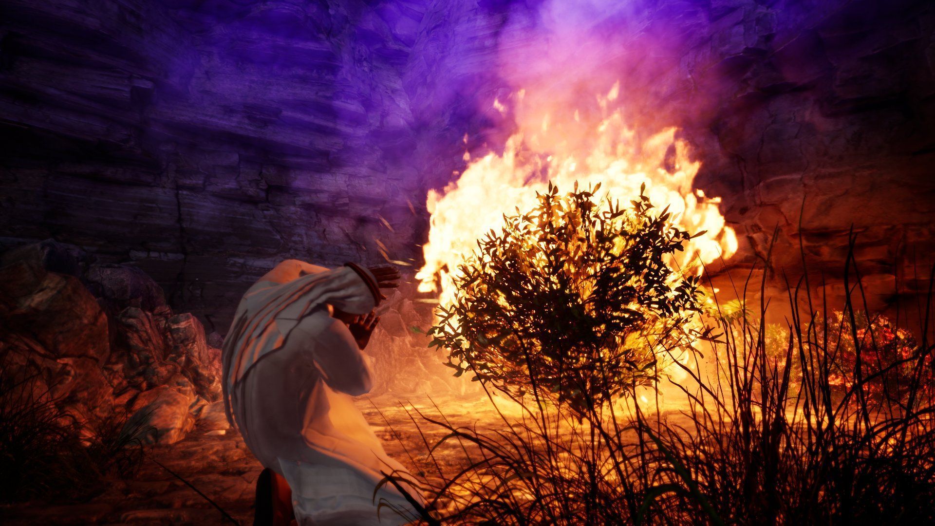 Burning Bush Wallpapers - Top Free Burning Bush Backgrounds ...