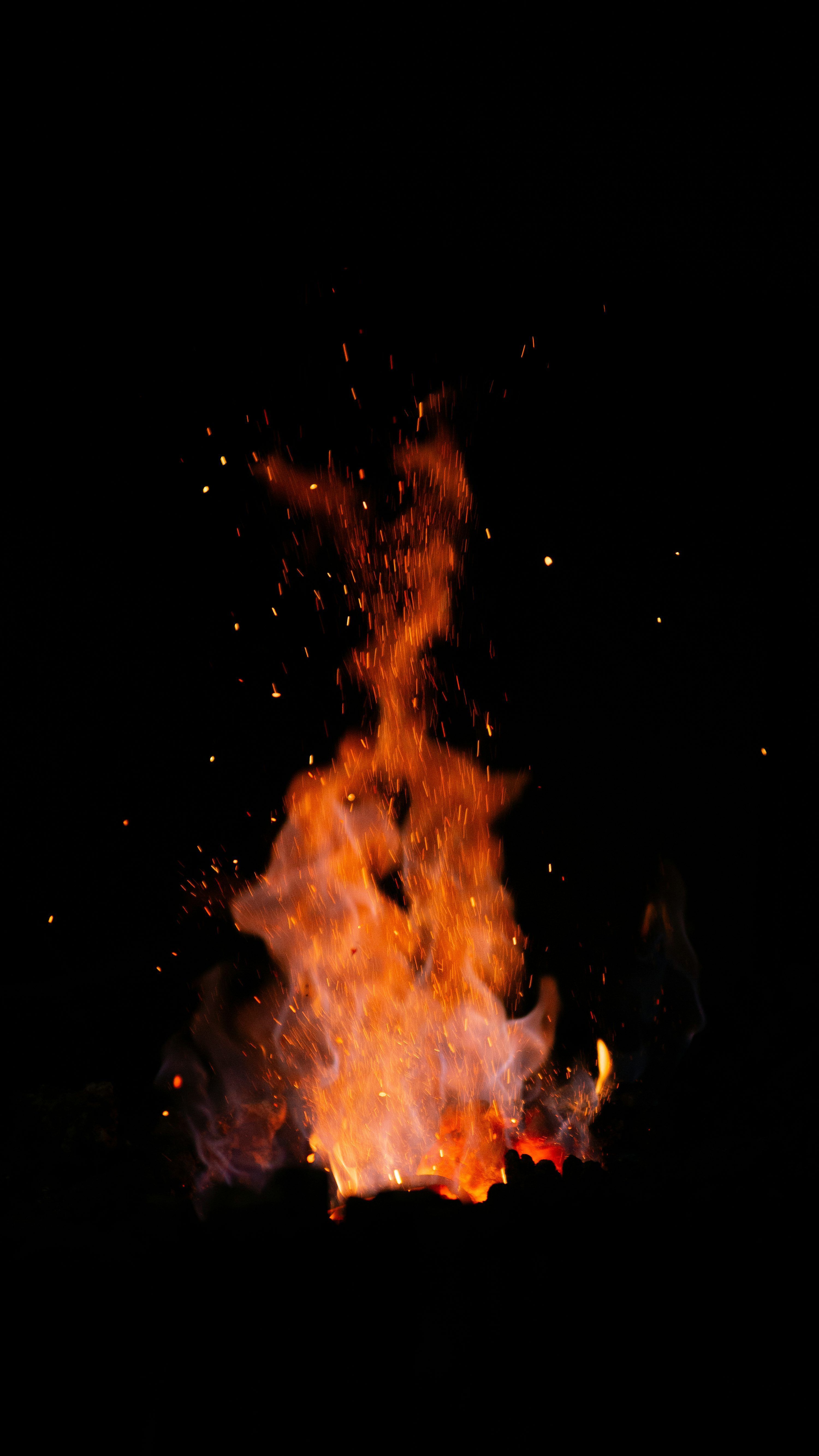 Burning Bush Wallpapers - Top Free Burning Bush Backgrounds ...