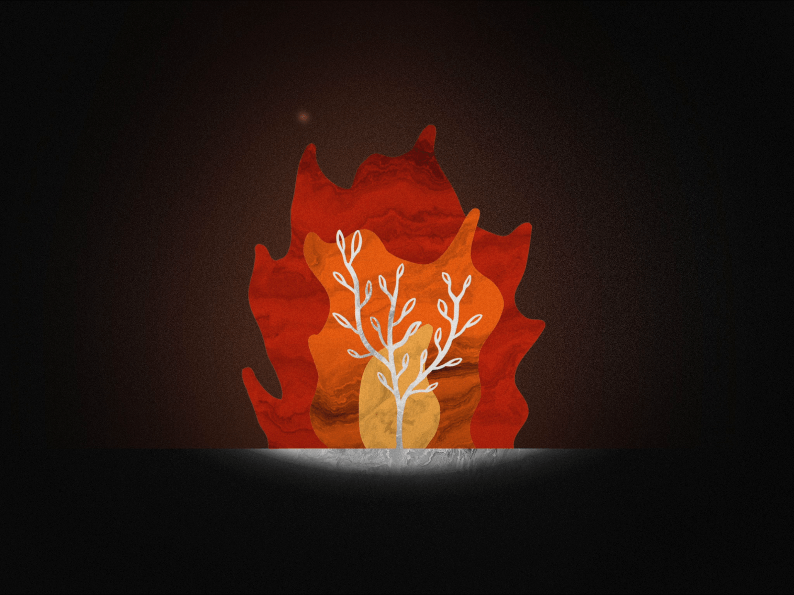 Burning Bush Wallpapers - Top Free Burning Bush Backgrounds ...