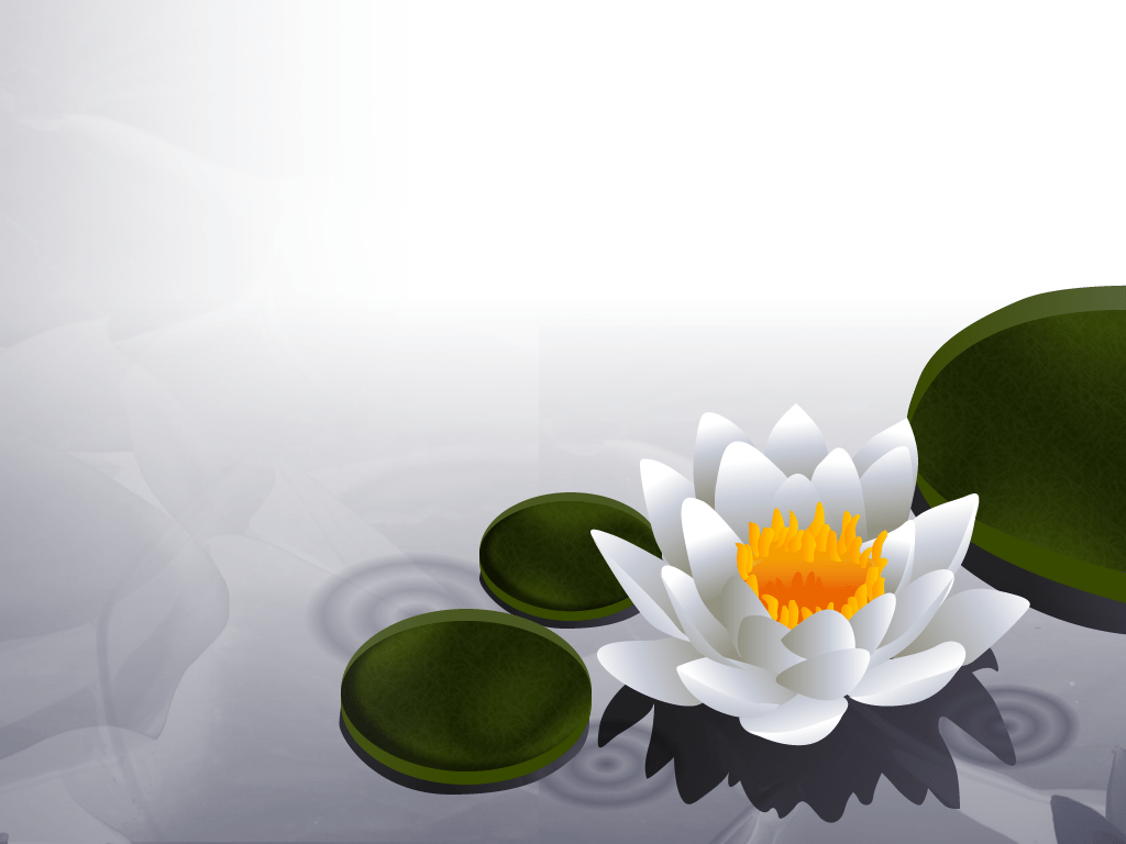 Zen Lotus HD Wallpapers - Top Free Zen Lotus HD Backgrounds ...