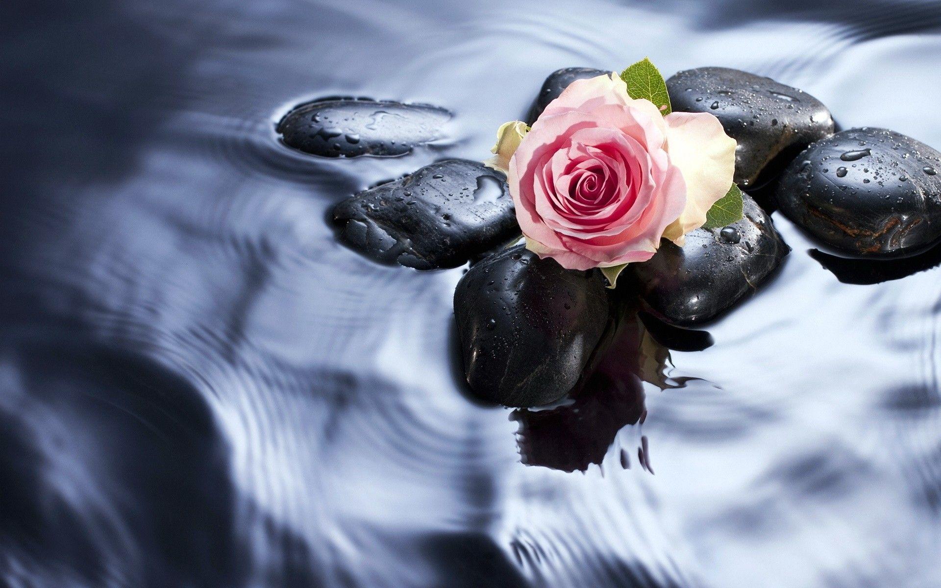 Spa Flowers Wallpapers - Top Free Spa Flowers Backgrounds - WallpaperAccess