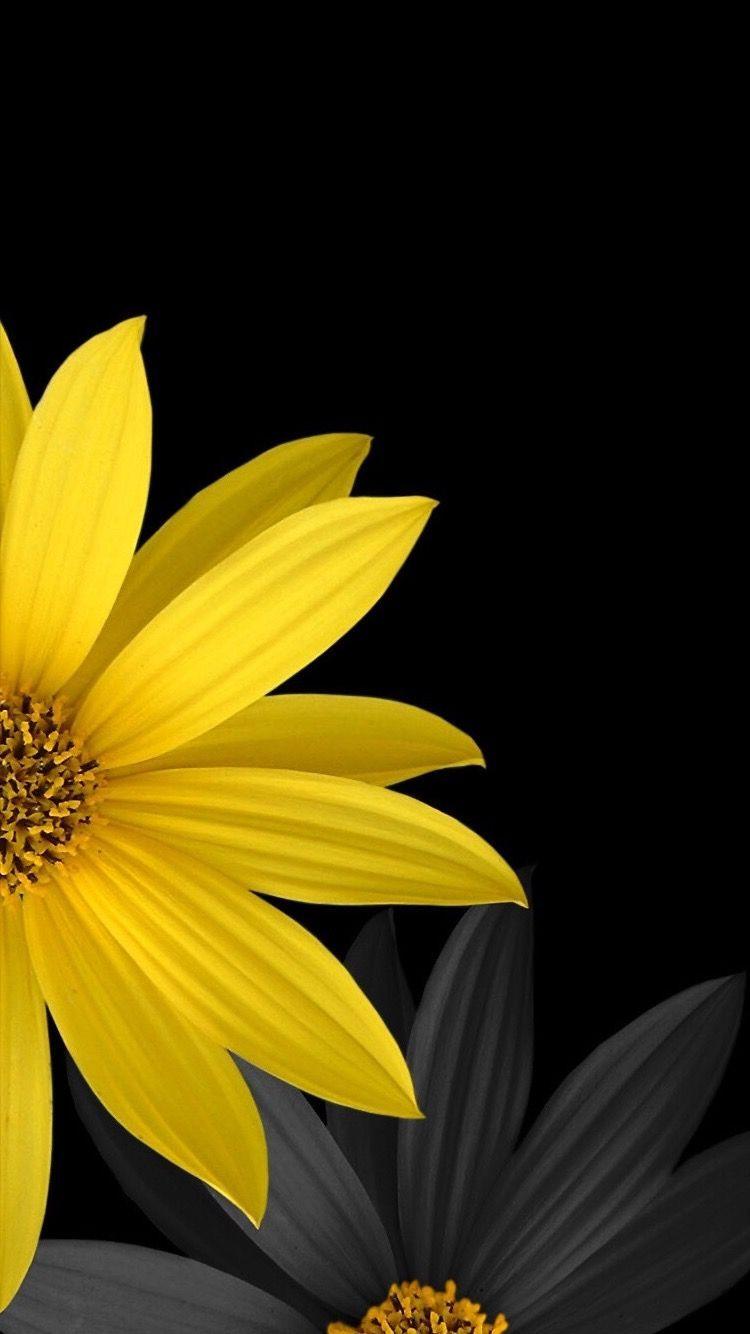 Zen Flowers Yellow Wallpapers - Top Free Zen Flowers Yellow Backgrounds ...