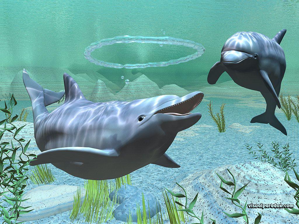 3D Dolphin Wallpapers - Top Free 3D Dolphin Backgrounds - WallpaperAccess