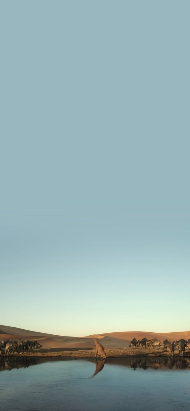 Prehistoric Planet Wallpapers - Top Free Prehistoric Planet Backgrounds ...