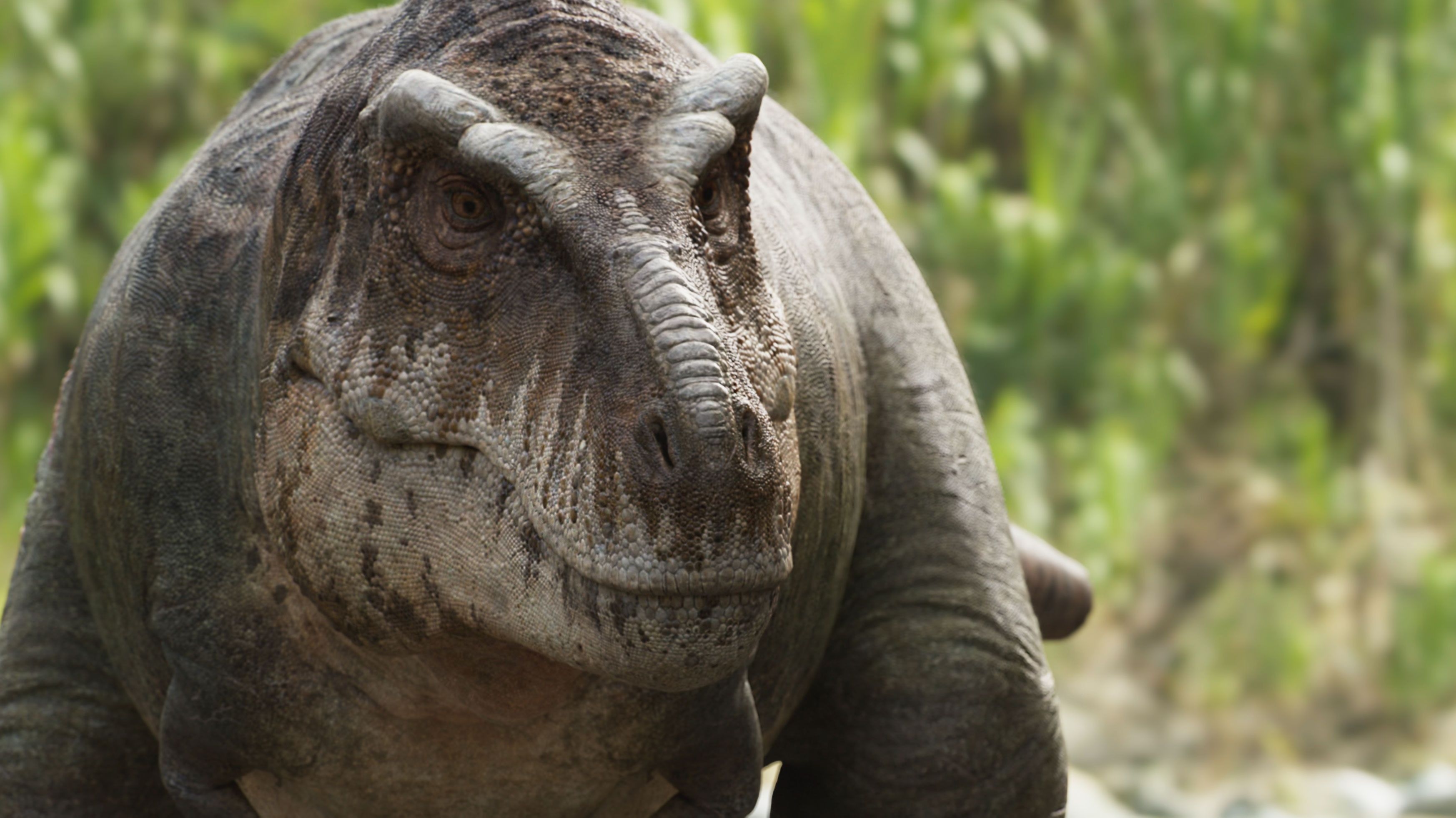 Prehistoric Planet Wallpapers - Top Free Prehistoric Planet Backgrounds - WallpaperAccess