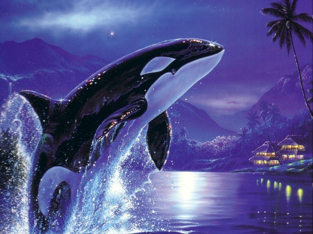 Baby Orca Wallpapers - Top Free Baby Orca Backgrounds - WallpaperAccess