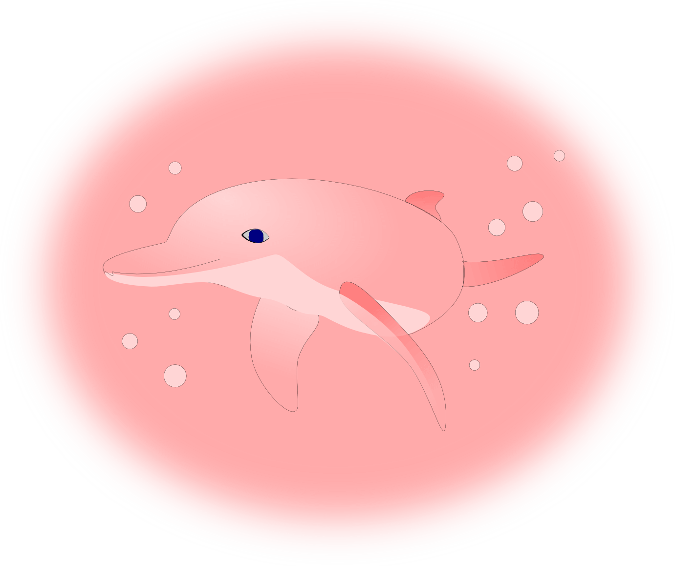 Baby Pink Dolphin Wallpapers - Top Free Baby Pink Dolphin Backgrounds ...