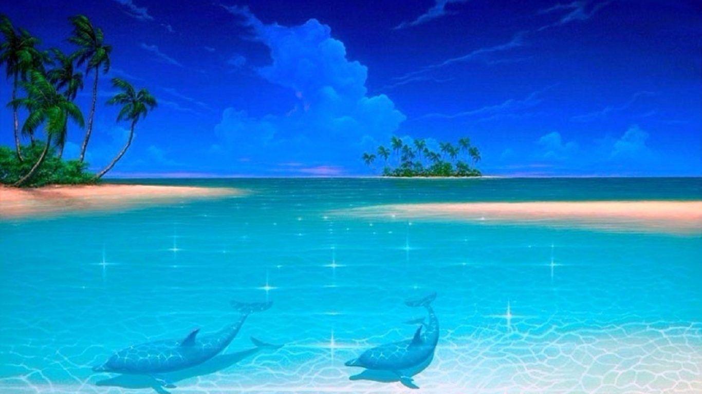 Dolphin Beach Wallpapers - Top Free Dolphin Beach Backgrounds ...