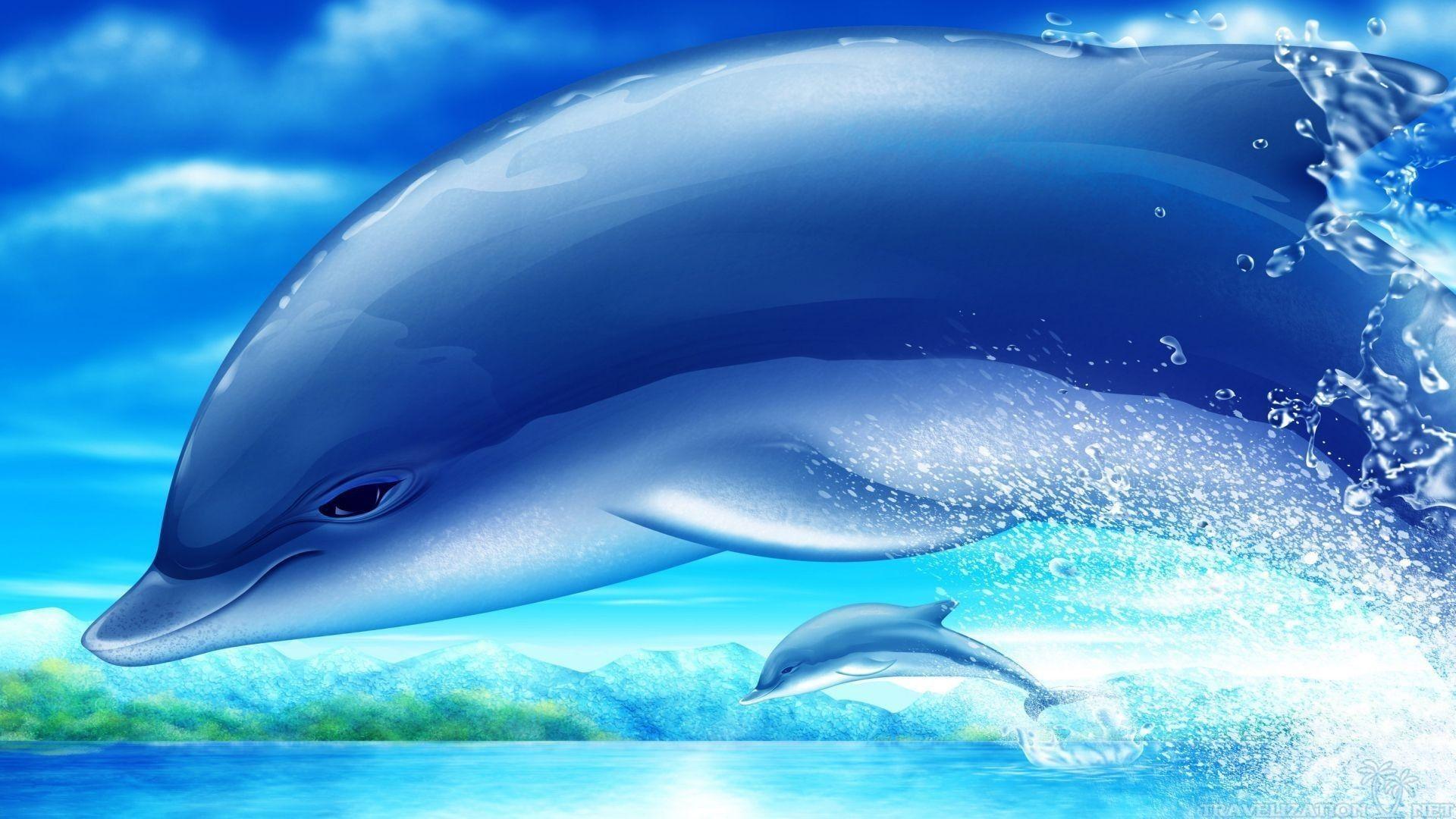 Cute Baby Dolphins Wallpapers - Top Free Cute Baby Dolphins Backgrounds ...