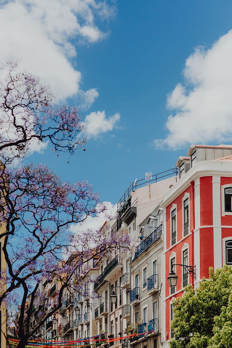 Lisbon Wallpapers - Top Free Lisbon Backgrounds - WallpaperAccess