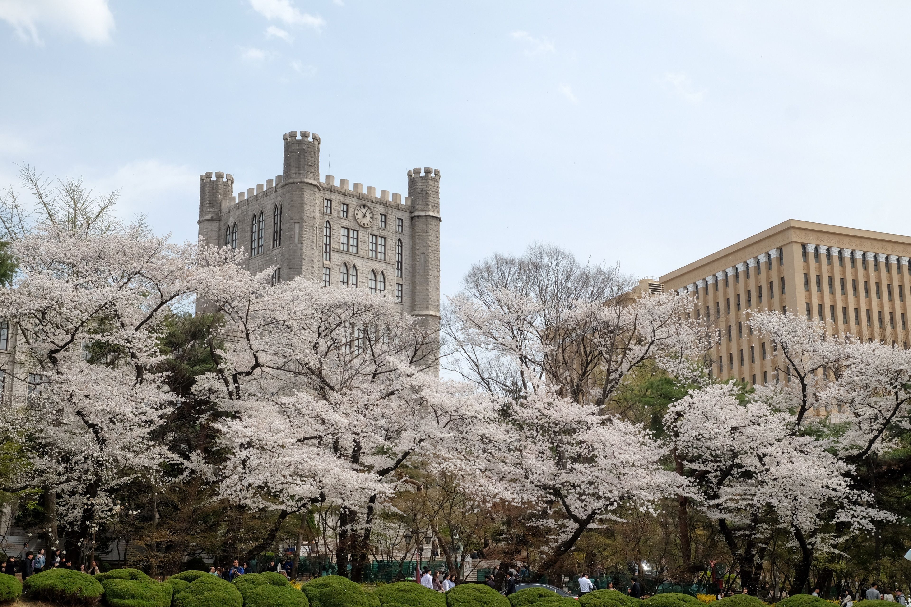 Korea University Wallpapers - Top Free Korea University Backgrounds ...