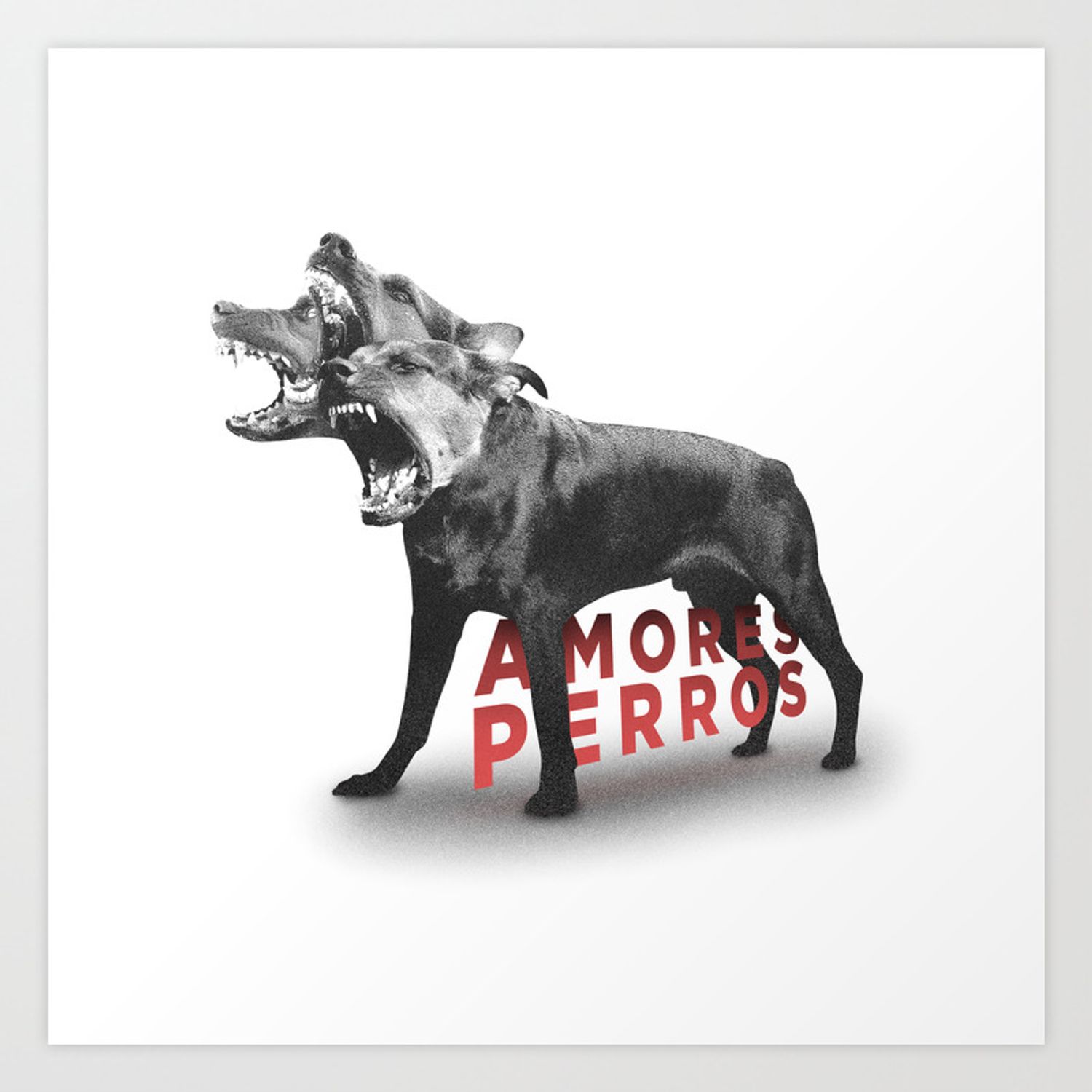 Amores Perros Wallpapers - Top Free Amores Perros Backgrounds - WallpaperAccess