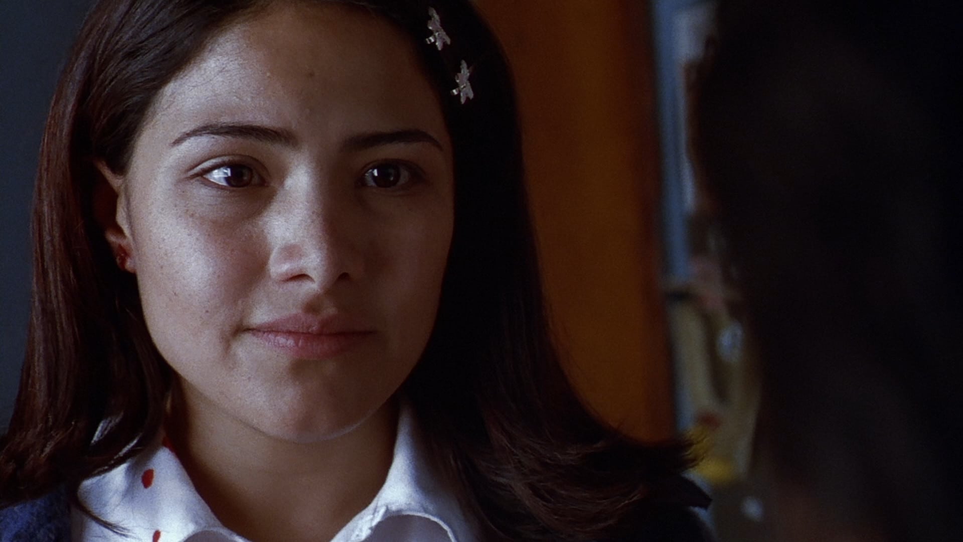 Amores Perros Wallpapers - Top Free Amores Perros Backgrounds - WallpaperAccess