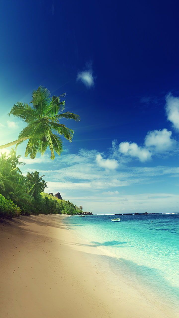 Beach Life Wallpapers - Top Free Beach Life Backgrounds - WallpaperAccess