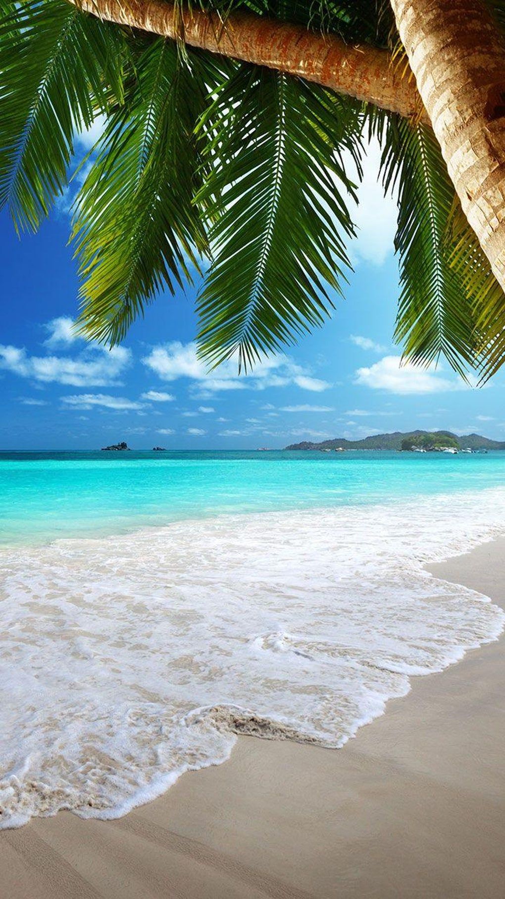 Beach Life Wallpapers - Top Free Beach Life Backgrounds - WallpaperAccess