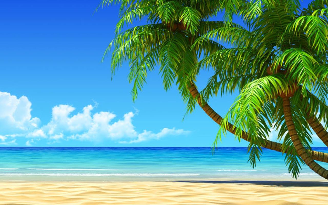 Beach Life Wallpapers - Top Free Beach Life Backgrounds - WallpaperAccess
