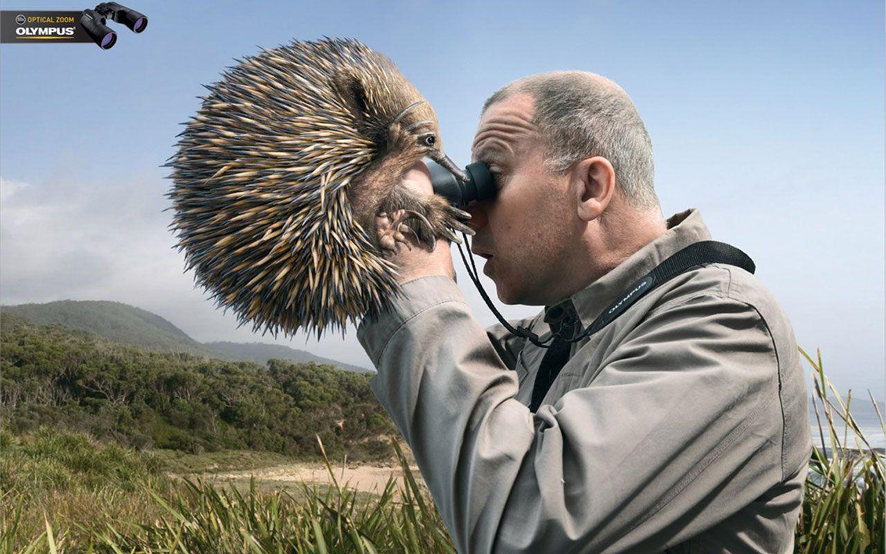 Advertising Wallpapers - Top Free Advertising Backgrounds - WallpaperAccess