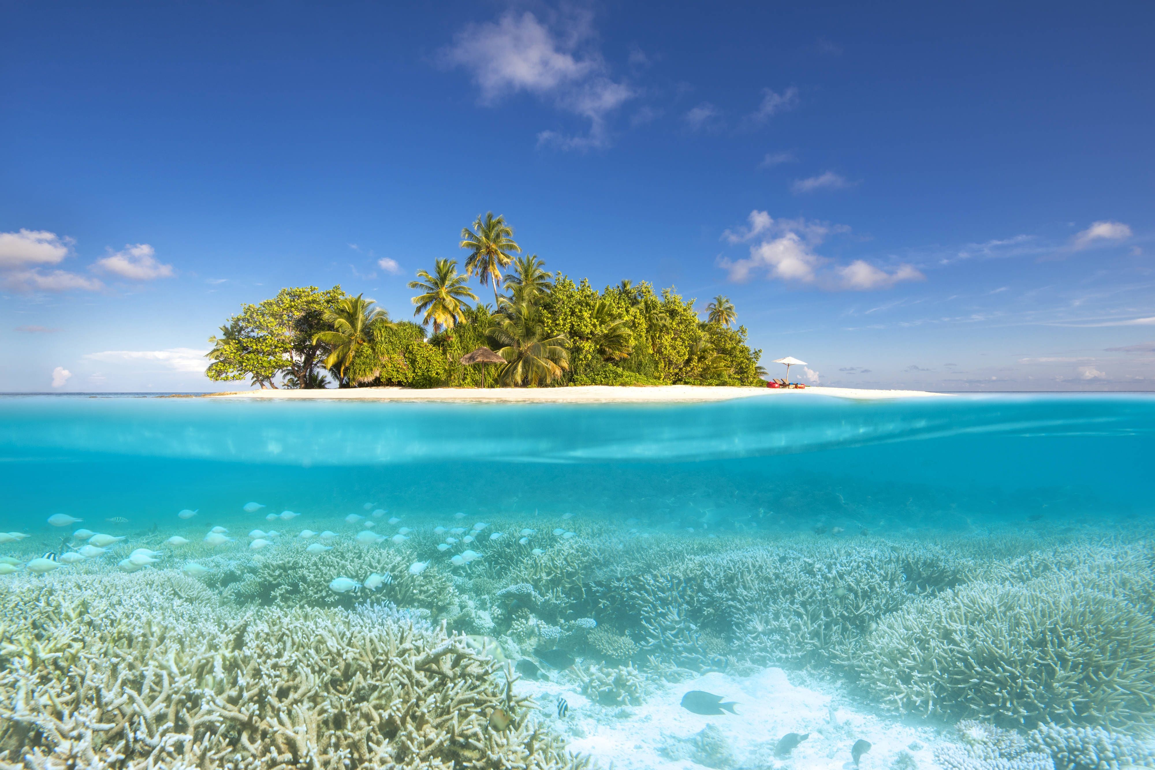 Coral Island Wallpapers - Top Free Coral Island Backgrounds ...