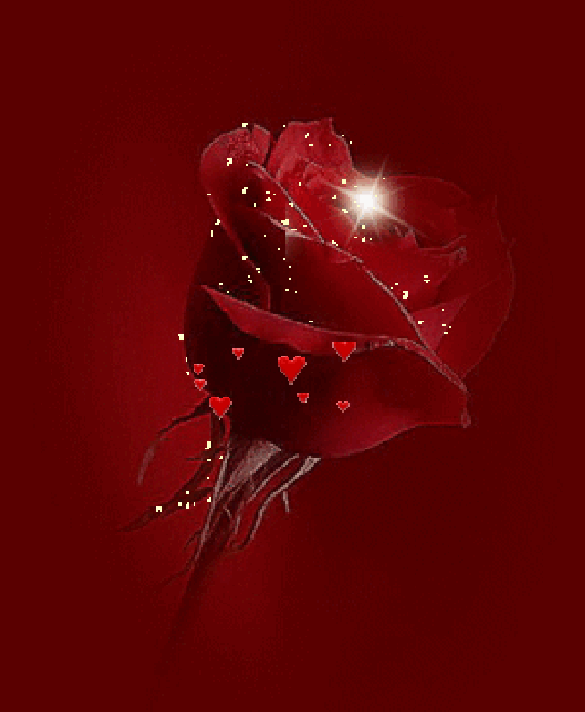 Gif Flowers Wallpapers - Top Free Gif Flowers Backgrounds - WallpaperAccess