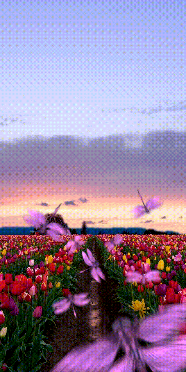 Gif Flowers Wallpapers - Top Free Gif Flowers Backgrounds - WallpaperAccess