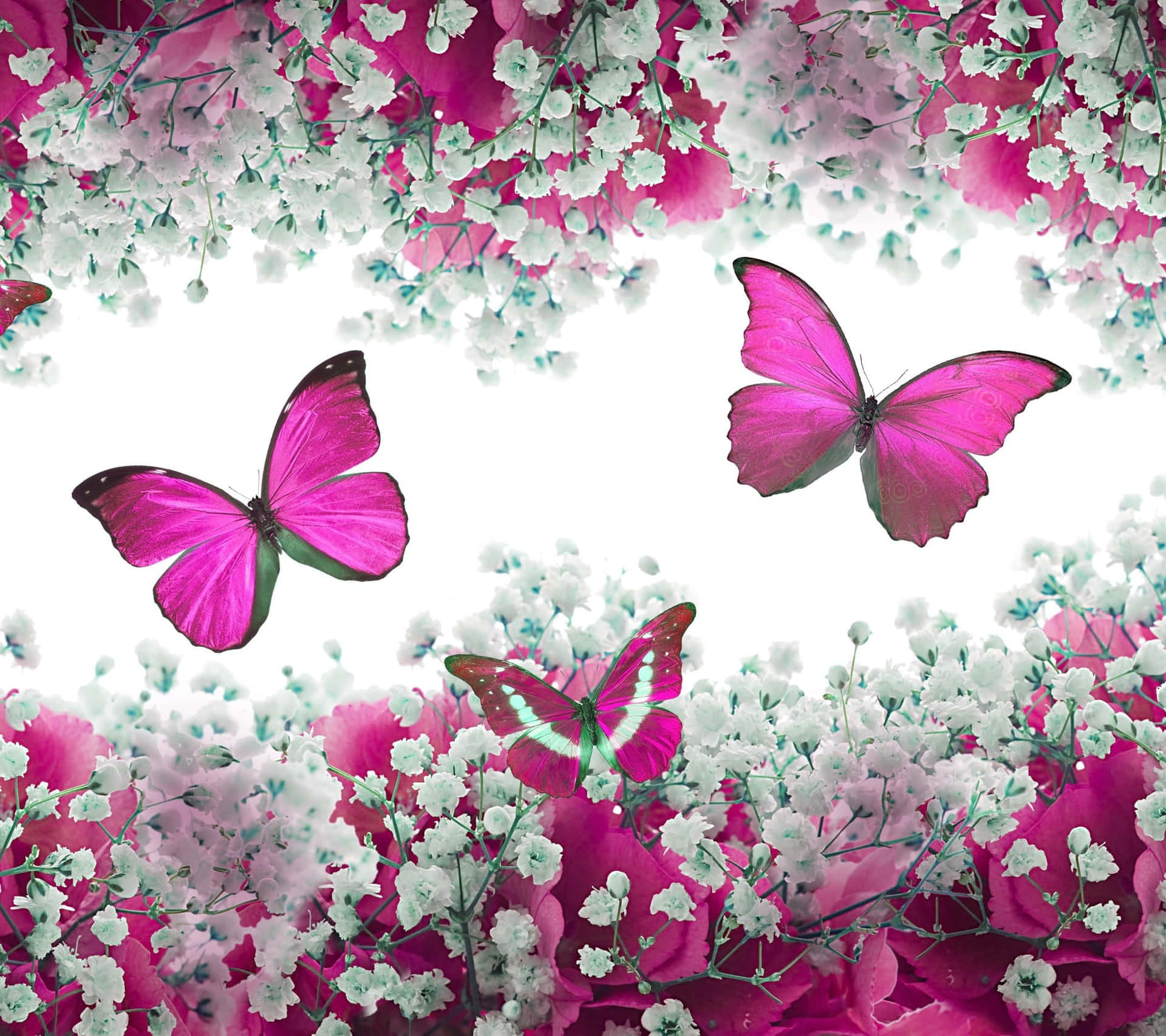 Gif Flowers Wallpapers - Top Free Gif Flowers Backgrounds - WallpaperAccess