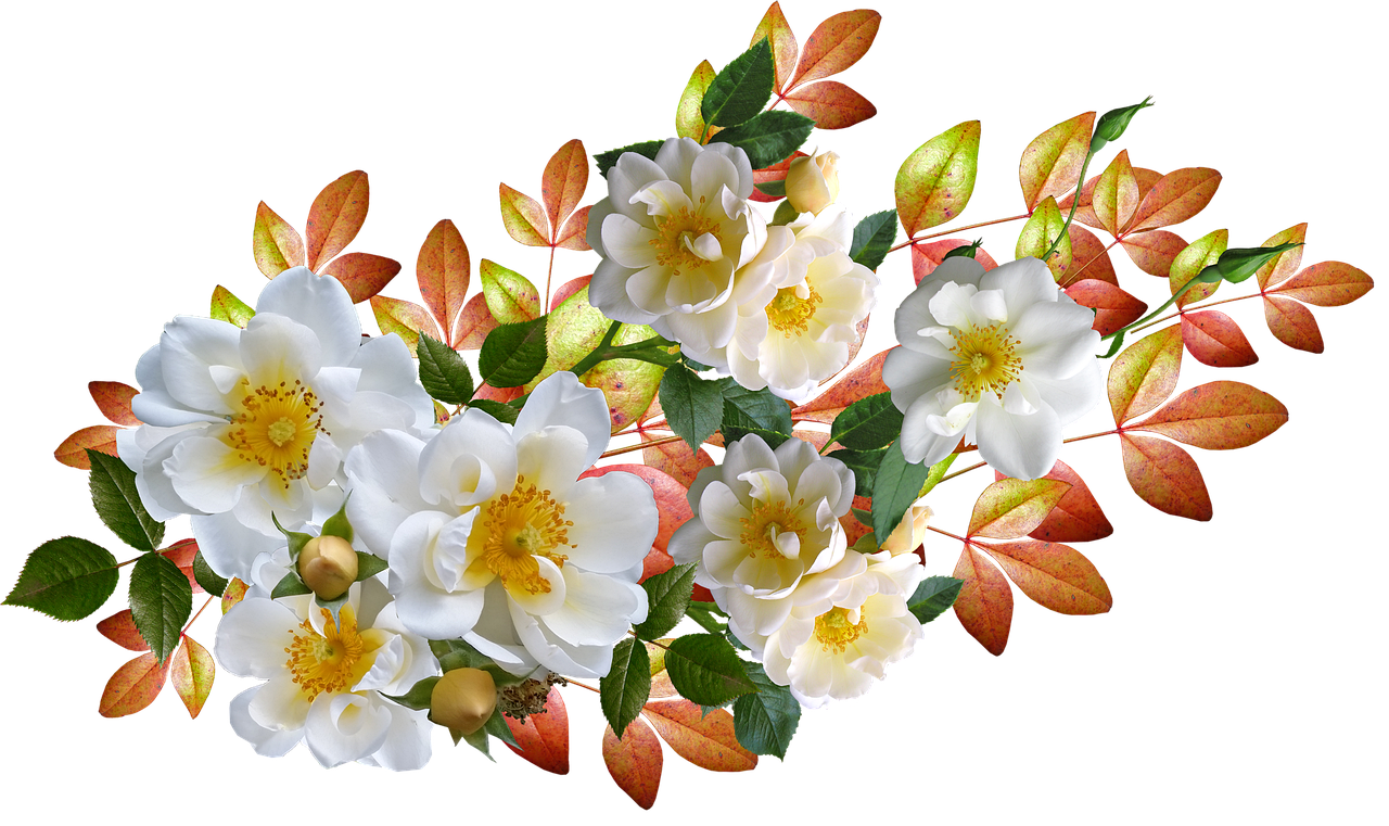 Gif Flowers Wallpapers - Top Free Gif Flowers Backgrounds - WallpaperAccess