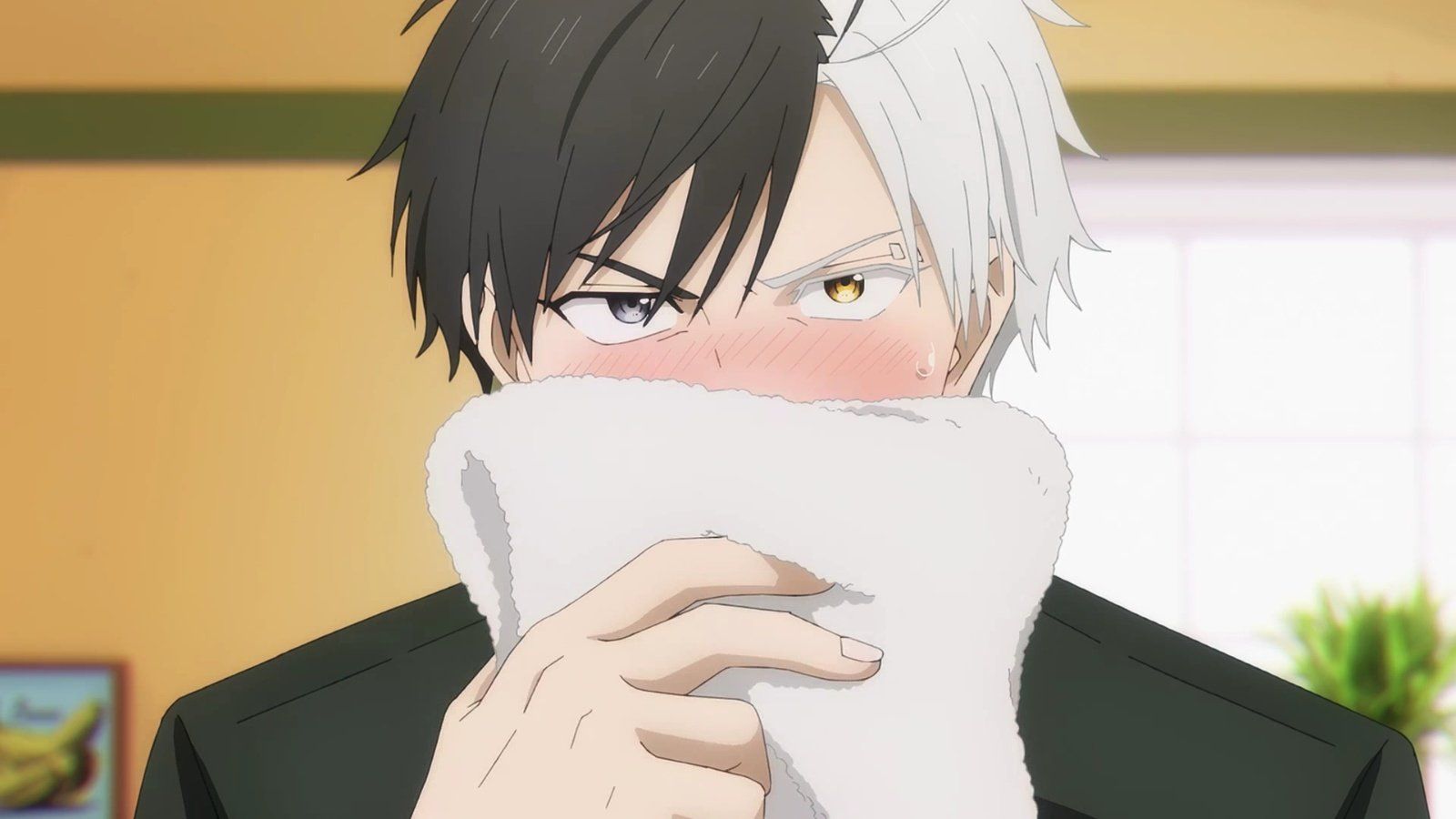 Haruka Sakura Wallpapers - Top Free Haruka Sakura Backgrounds ...