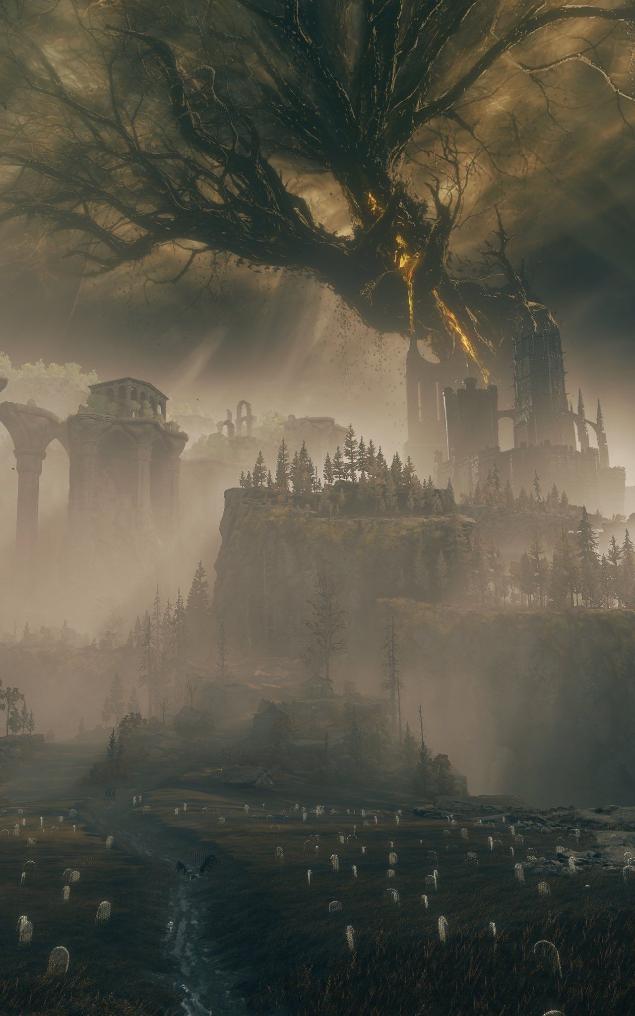 Shadow of the Erdtree Wallpapers - Top Free Shadow of the Erdtree ...