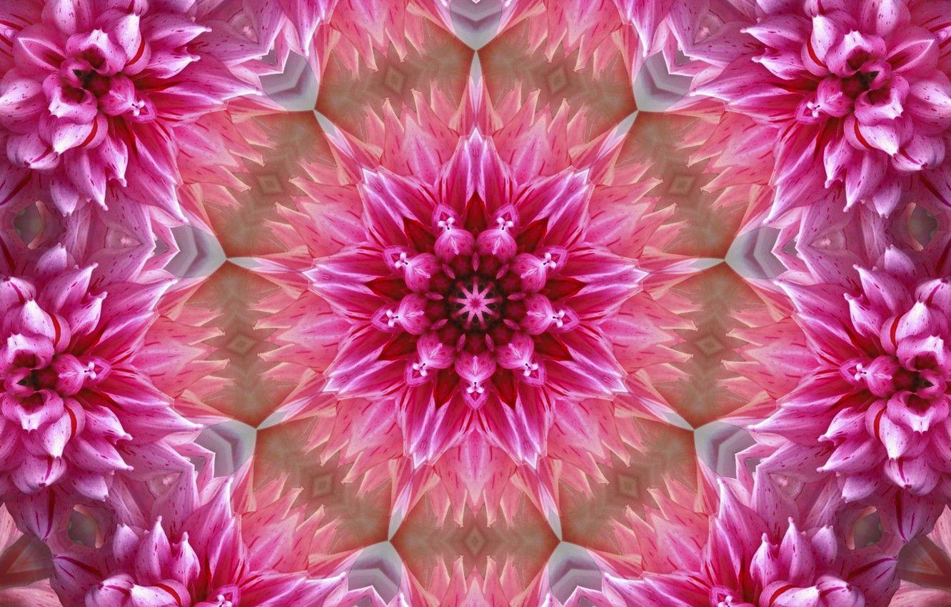 Flower Mandala Wallpapers - Top Free Flower Mandala Backgrounds ...