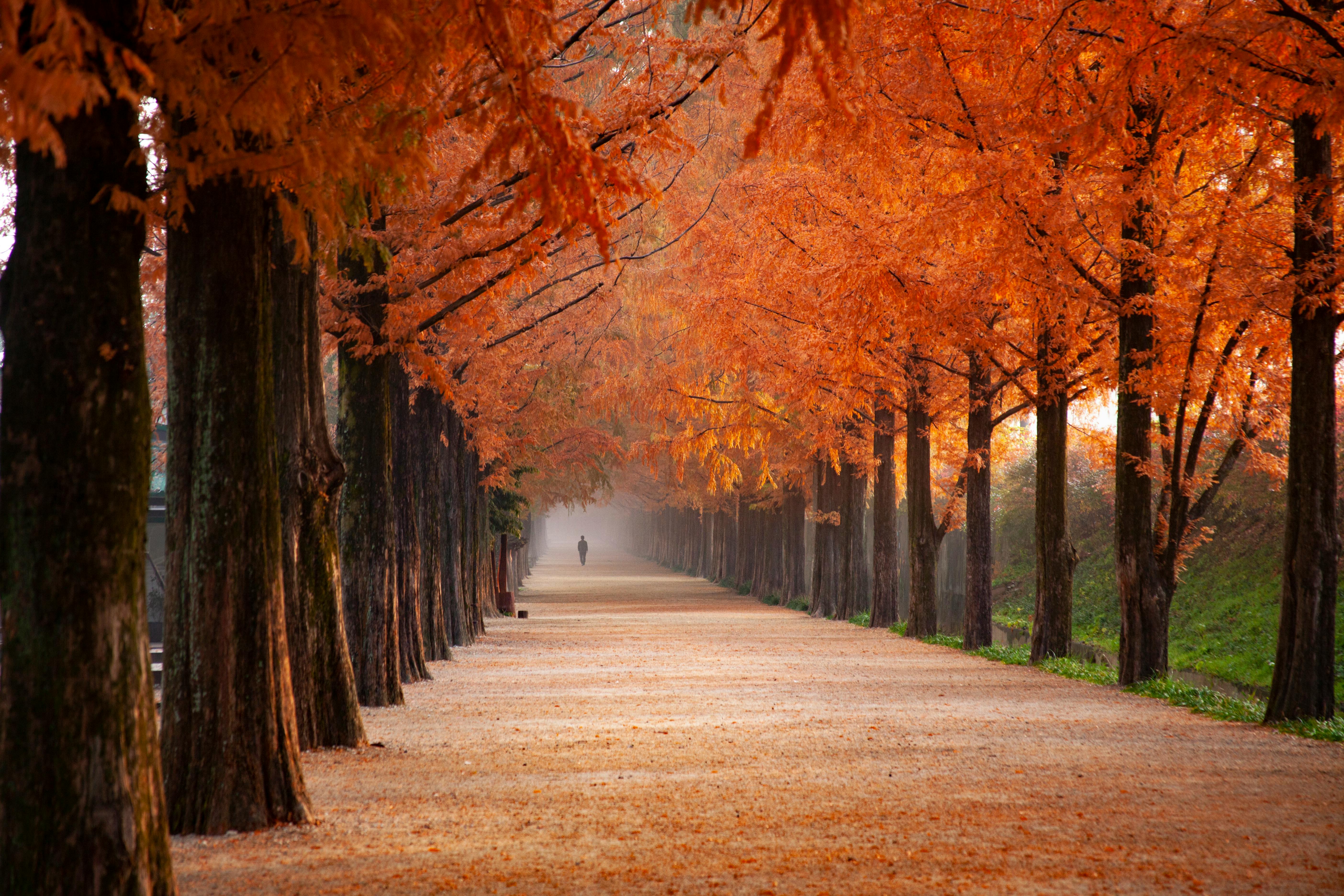 Late Fall Wallpapers - Top Free Late Fall Backgrounds - WallpaperAccess