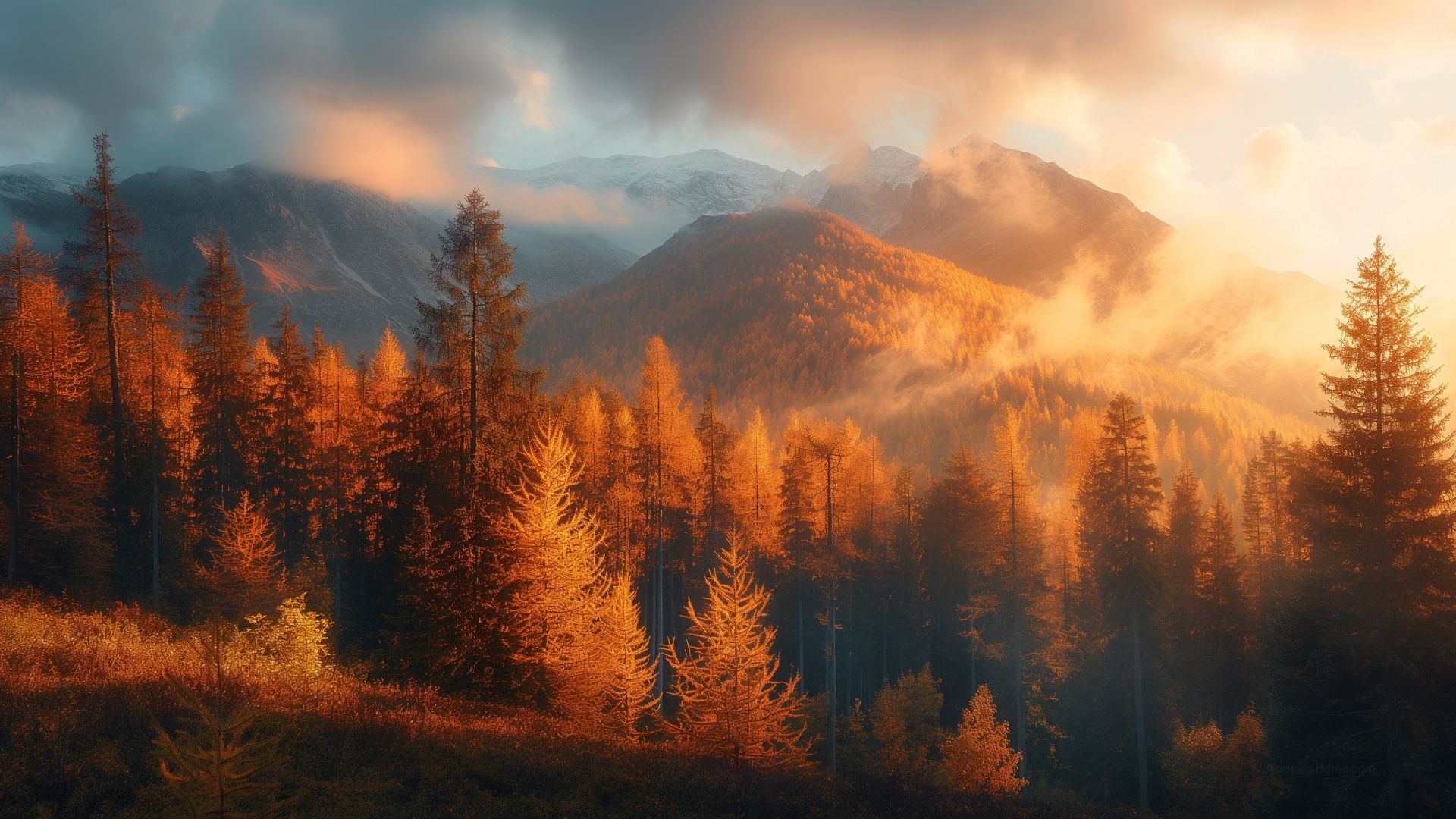 1920x1080 Autumn Wallpapers - Top Free 1920x1080 Autumn Backgrounds ...