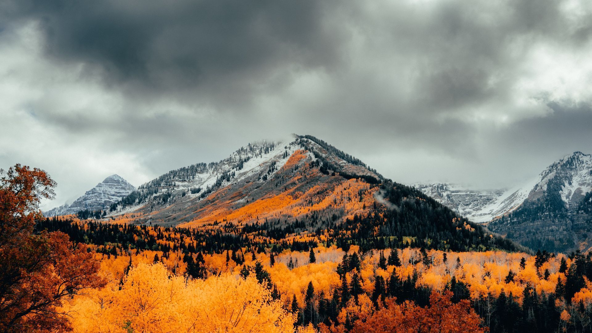 1920x1080 Autumn Wallpapers - Top Free 1920x1080 Autumn Backgrounds ...
