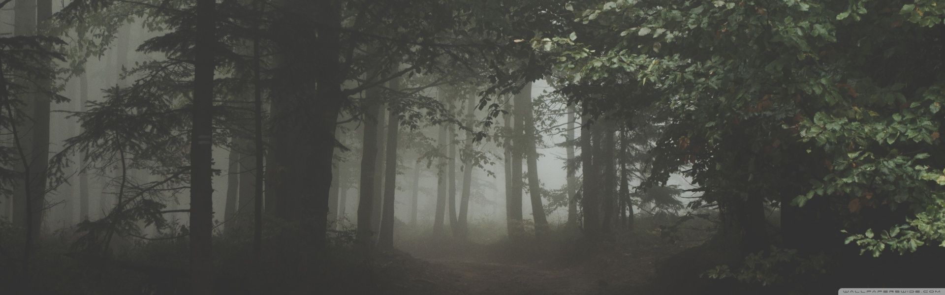 Southern Gothic Wallpapers - Top Free Southern Gothic Backgrounds ...