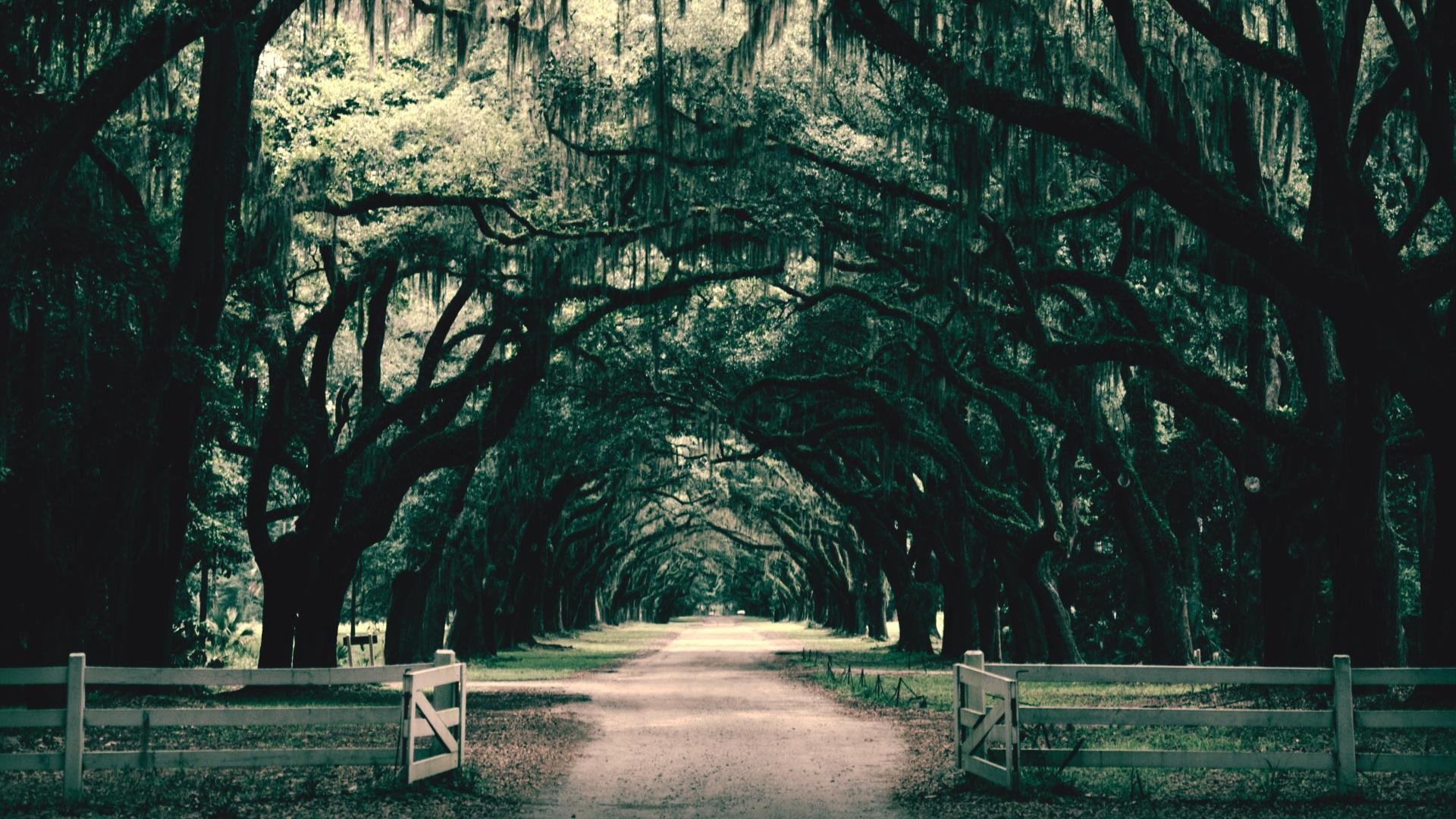 Southern Gothic Wallpapers - Top Free Southern Gothic Backgrounds ...