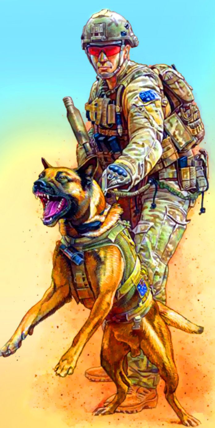 Military Dog Wallpapers - Top Free Military Dog Backgrounds ...