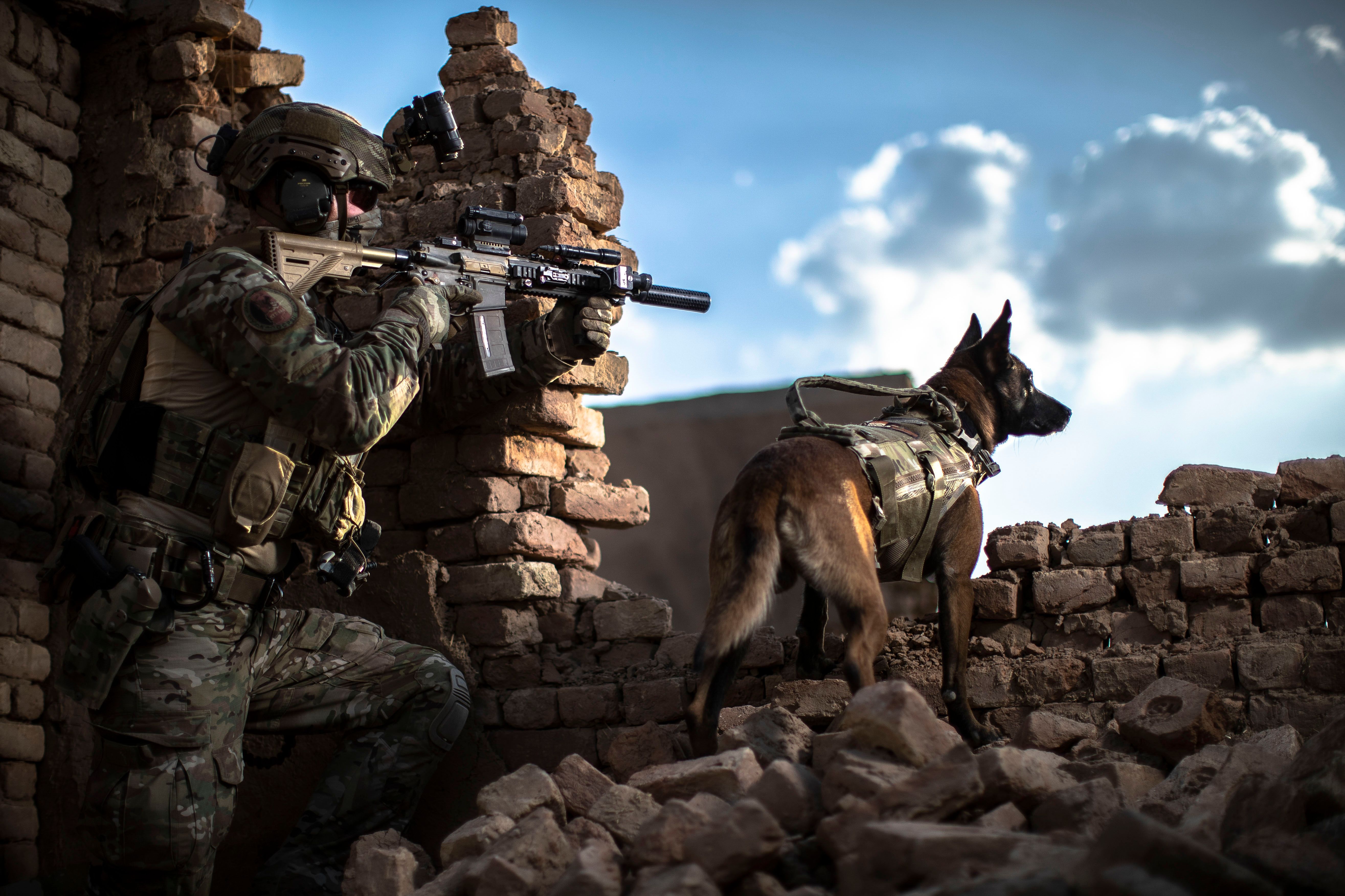Military Dog Wallpapers - Top Free Military Dog Backgrounds ...