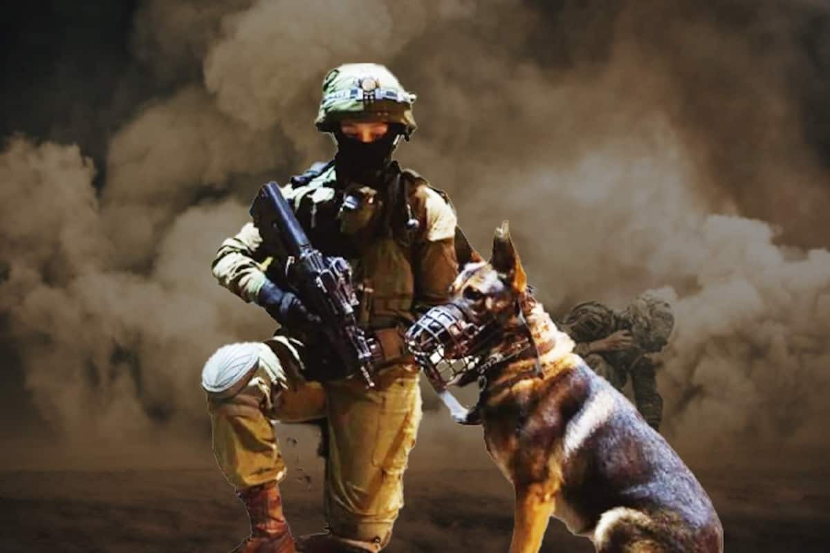 Military Dog Wallpapers - Top Free Military Dog Backgrounds - WallpaperAccess