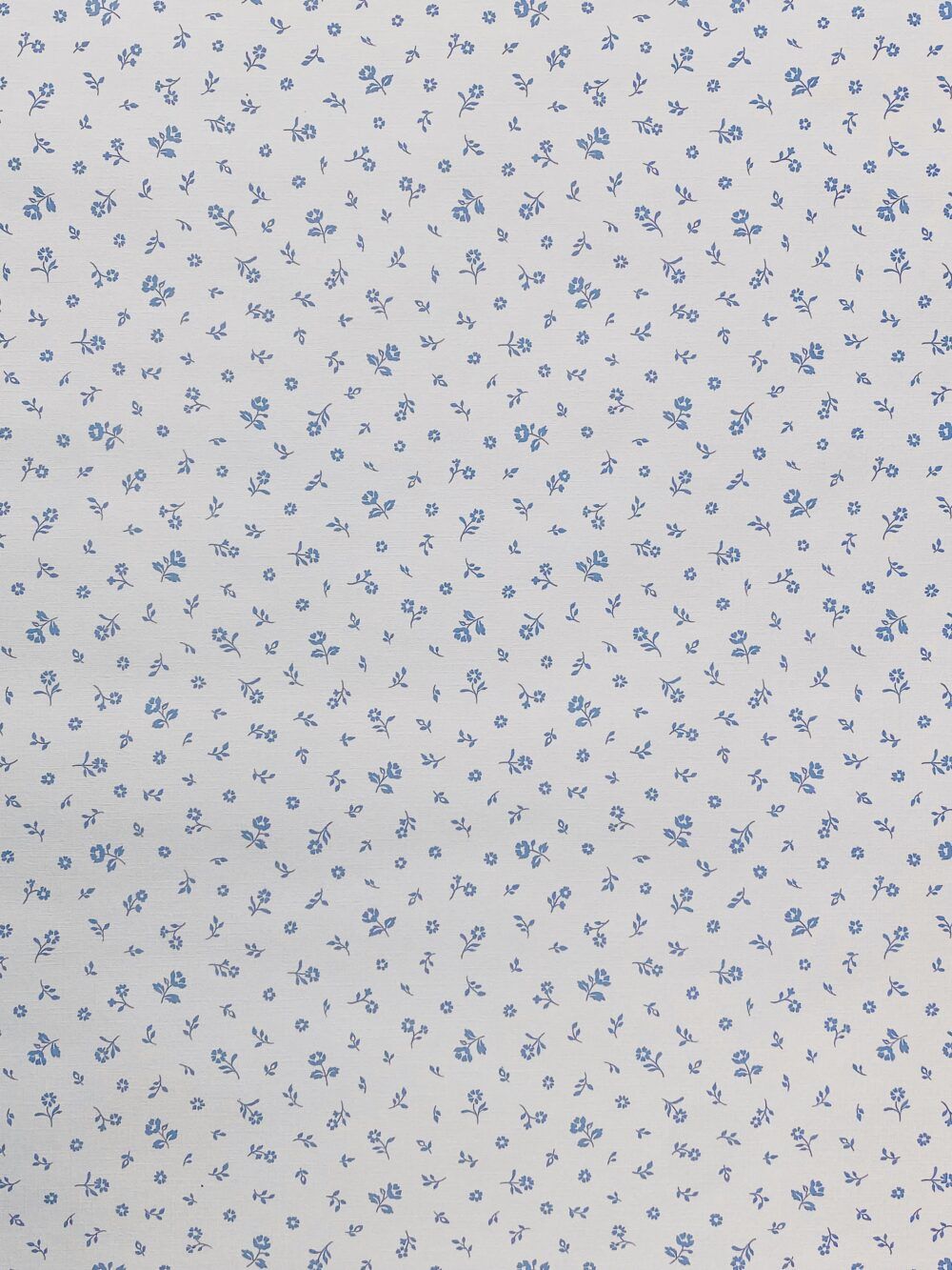 Blue Coquette Wallpapers - Top Free Blue Coquette Backgrounds ...