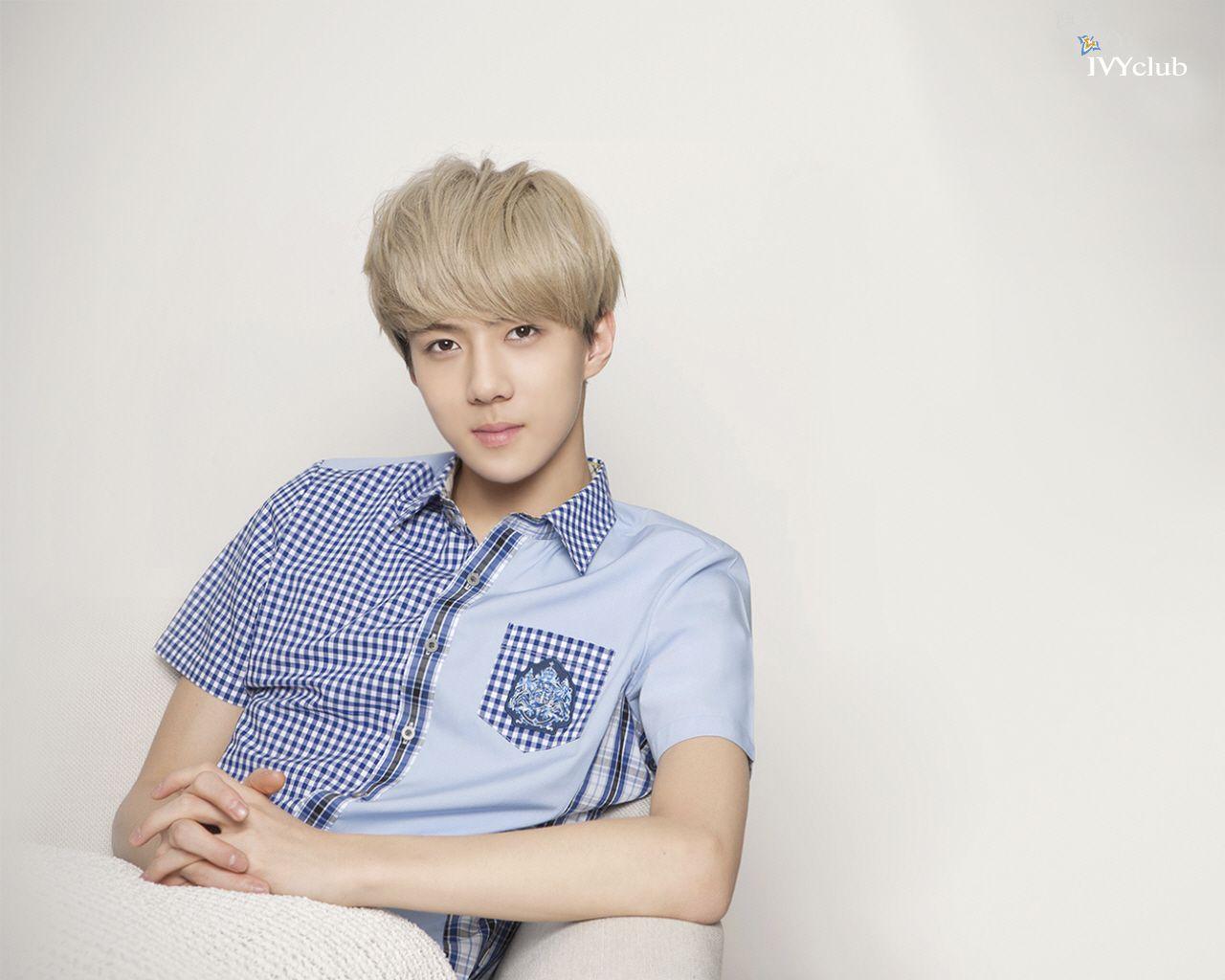 Sehun Wallpapers - Top Free Sehun Backgrounds - WallpaperAccess