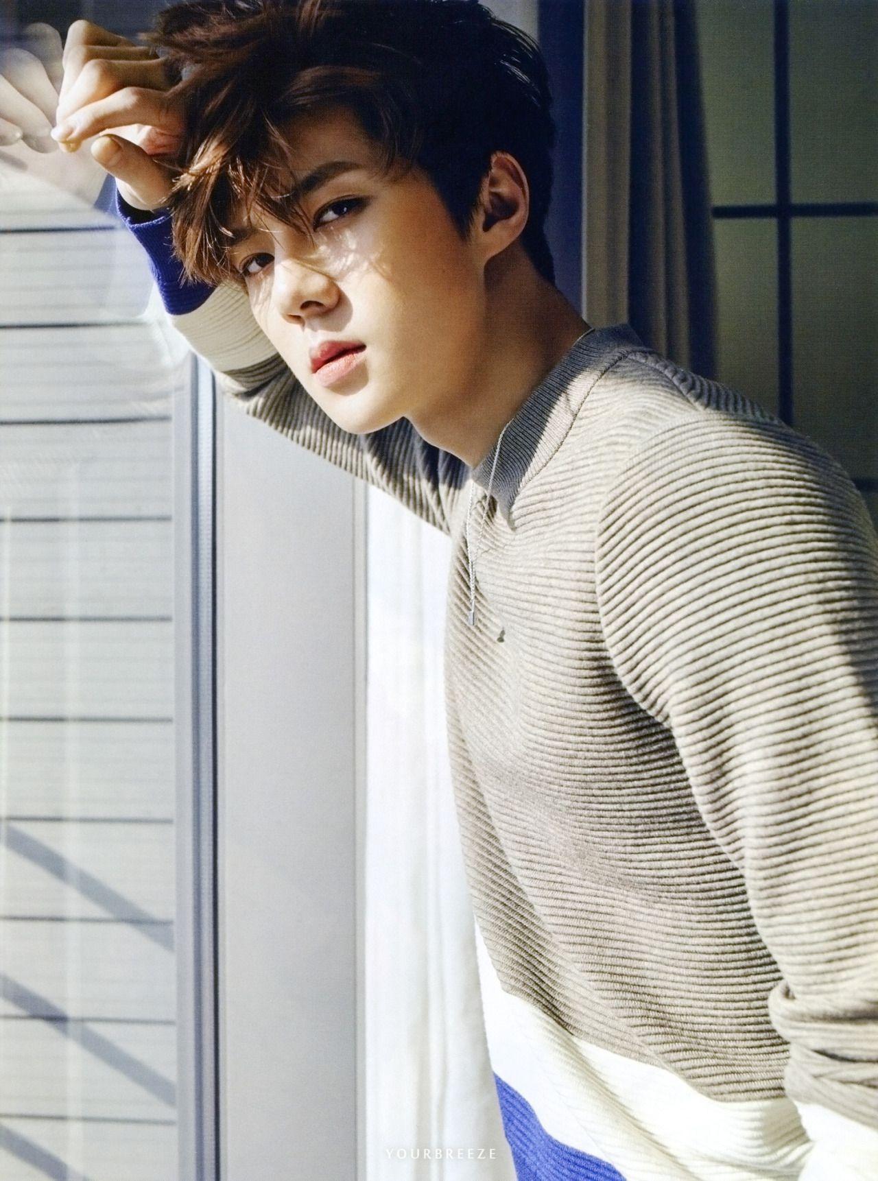 Sehun Wallpapers - Top Free Sehun Backgrounds - WallpaperAccess